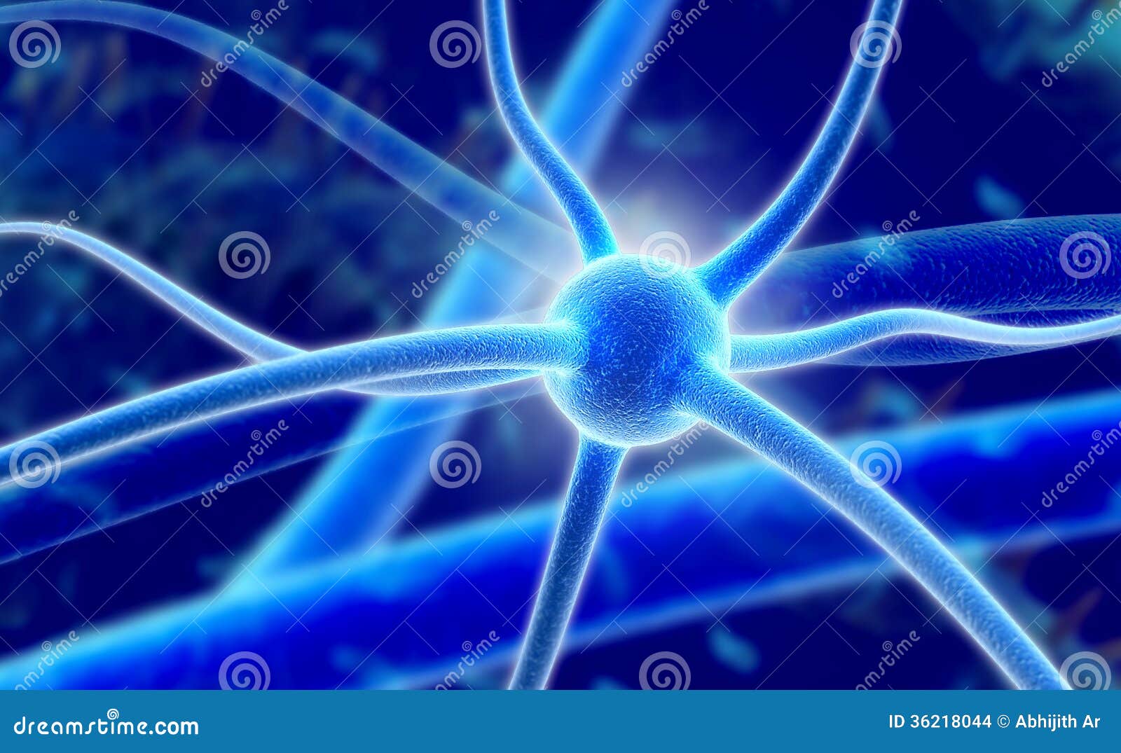 Neuron. Active Nerve Cell Stock Photography | CartoonDealer.com #32002880