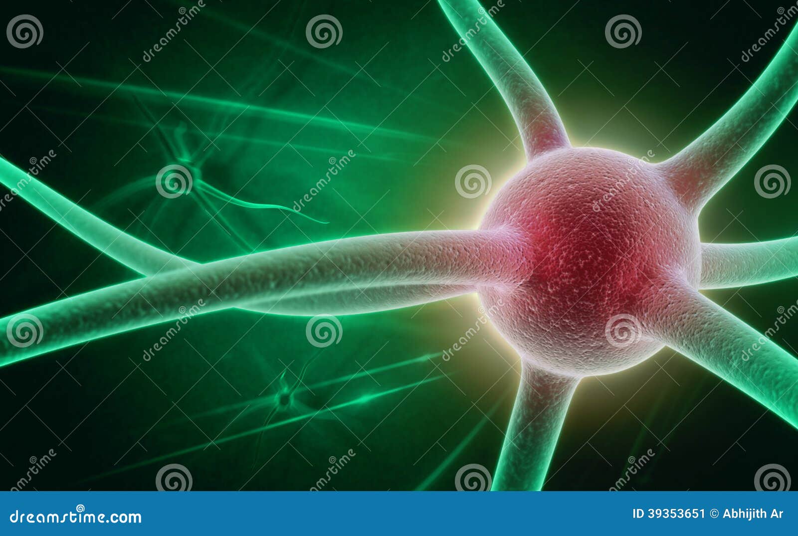 Neuron stock image. Image of micro, immunostaining, abstract - 39353651