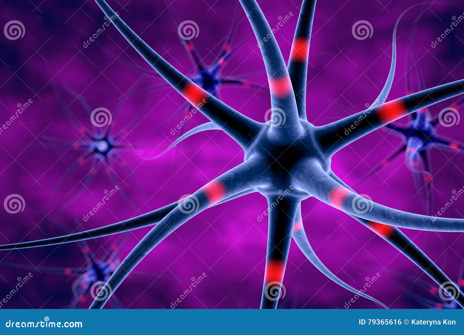 Neuron, Brain Cell Royalty-Free Illustration | CartoonDealer.com #79372704