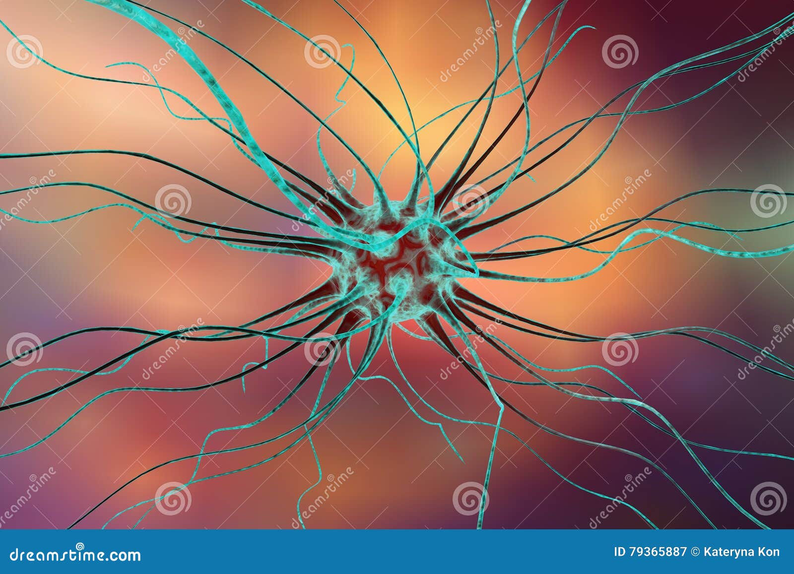 Neuron, Brain Cell Royalty-Free Cartoon | CartoonDealer.com #79365887