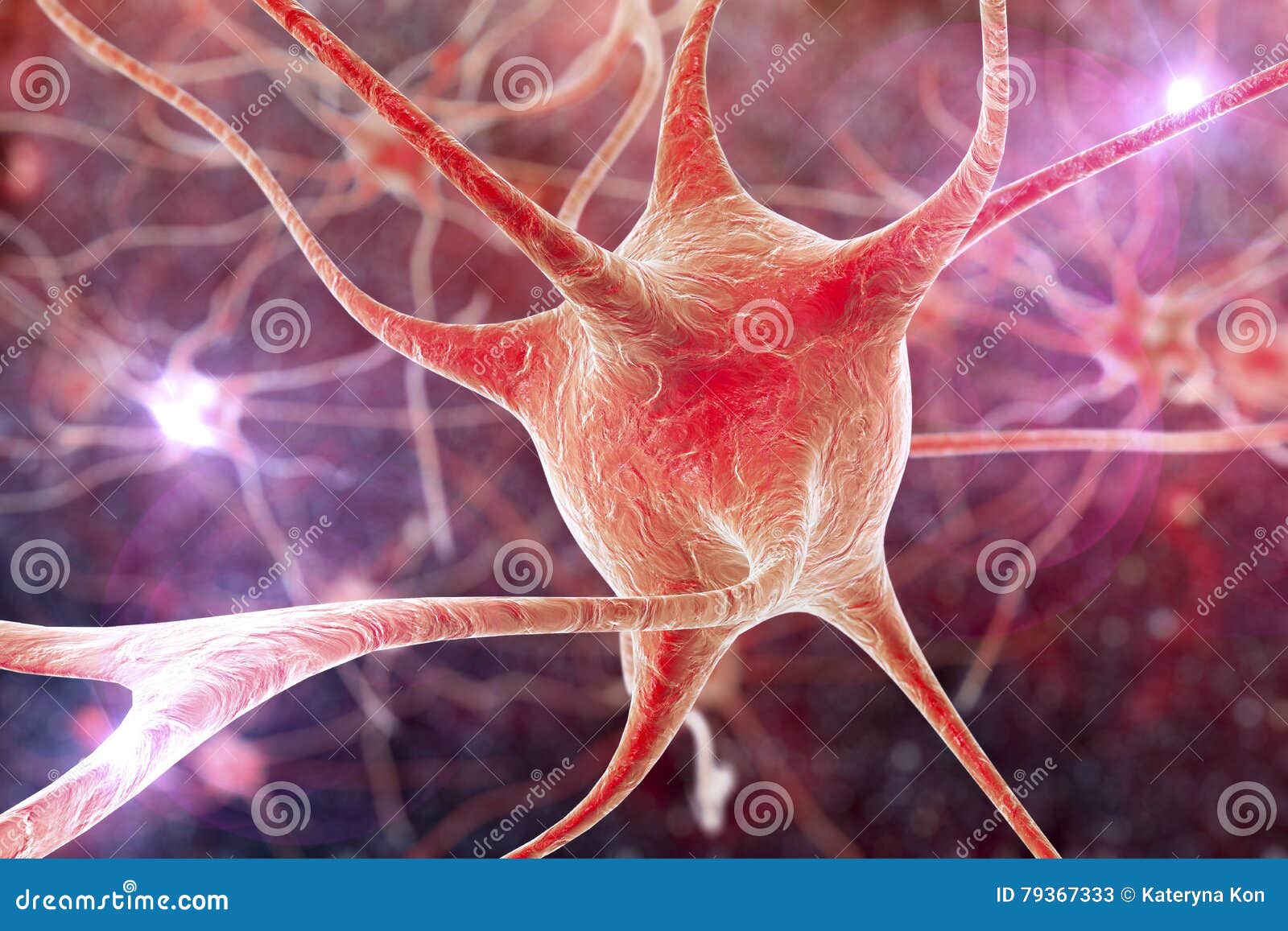 Neuron, Brain Cell Royalty-Free Illustration | CartoonDealer.com #79372704