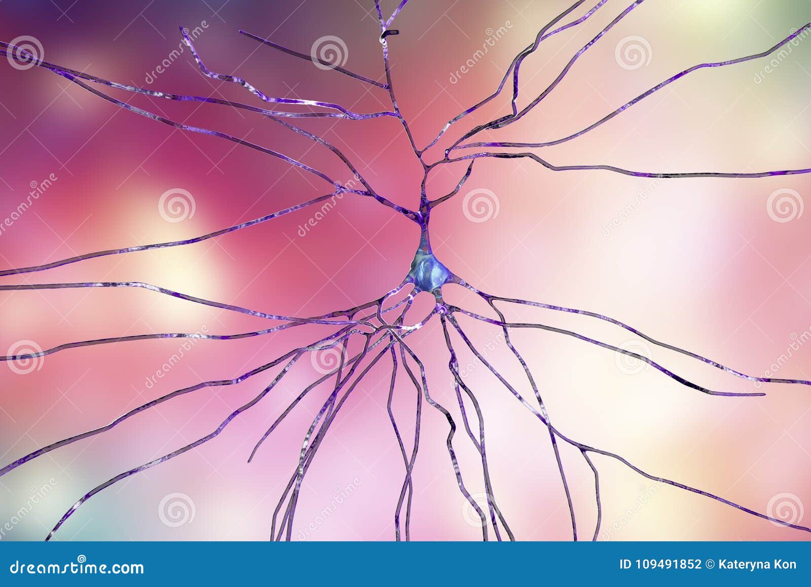 Realistic Neuron Anatomy Cartoon Vector | CartoonDealer.com #244458525