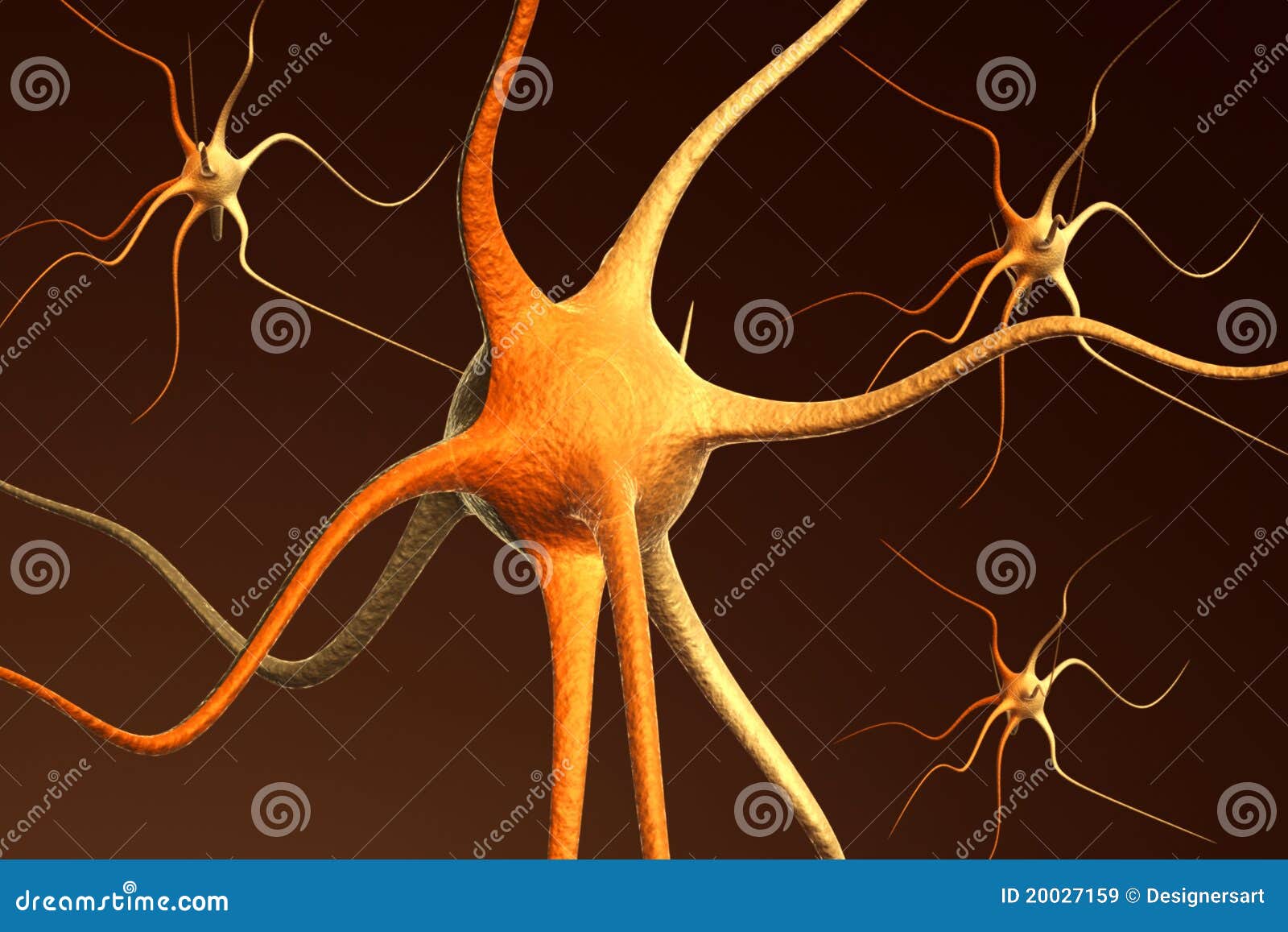 Neuron brain cells stock illustration. Illustration of axon - 20027159