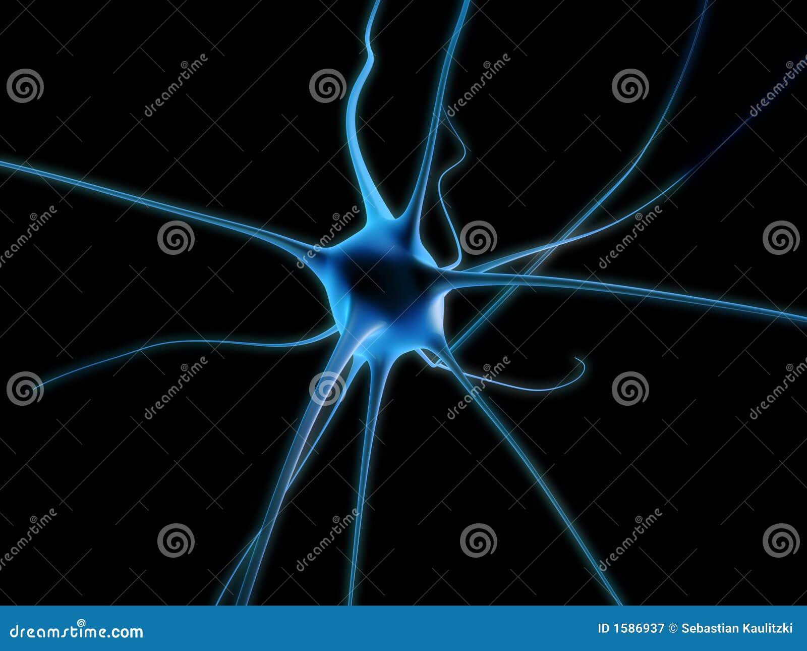 Neuron Cell, Neurons On White Background, Single Neuron Cell In Human ...