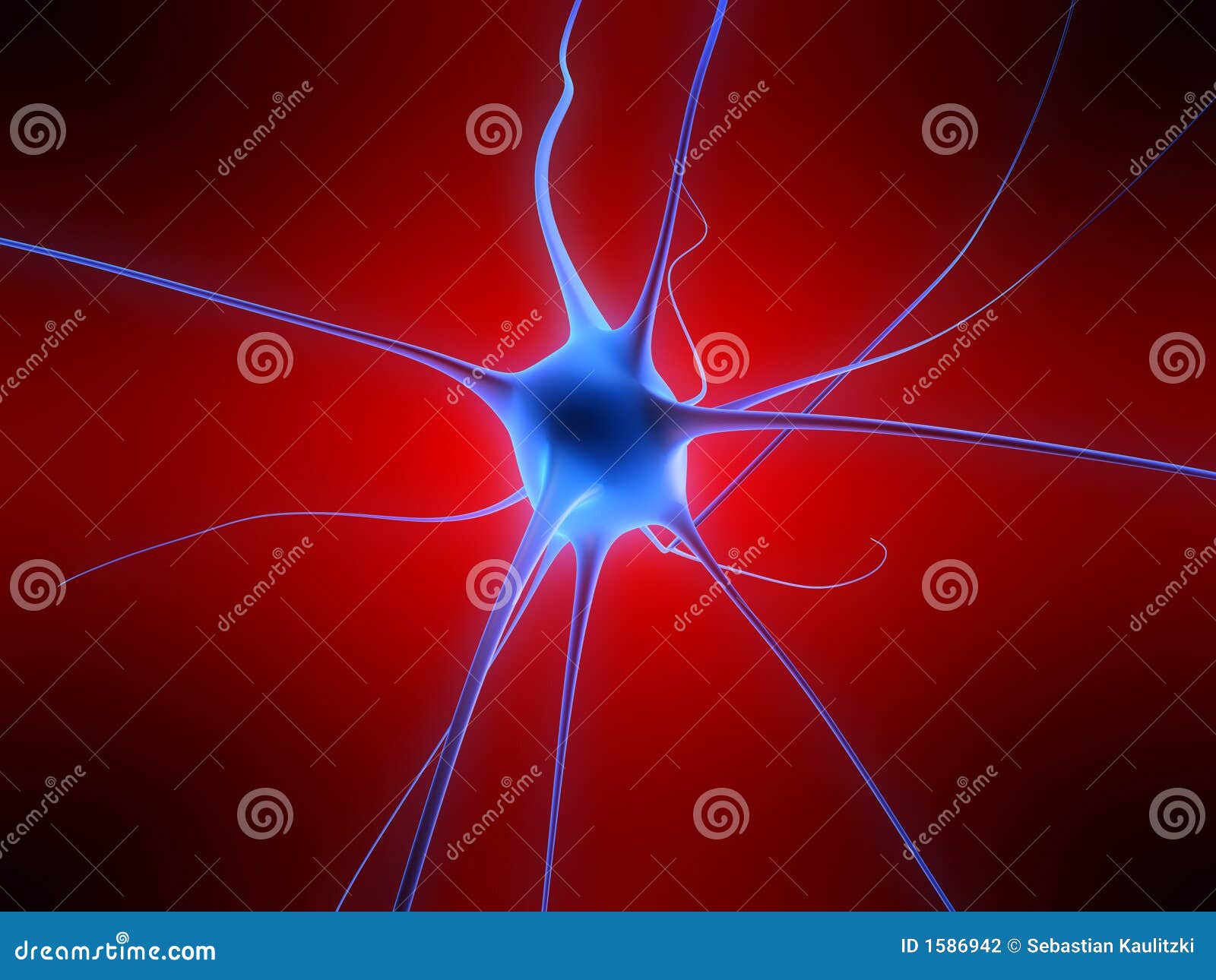 Neuron Cell, Neurons On White Background, Single Neuron Cell In Human ...