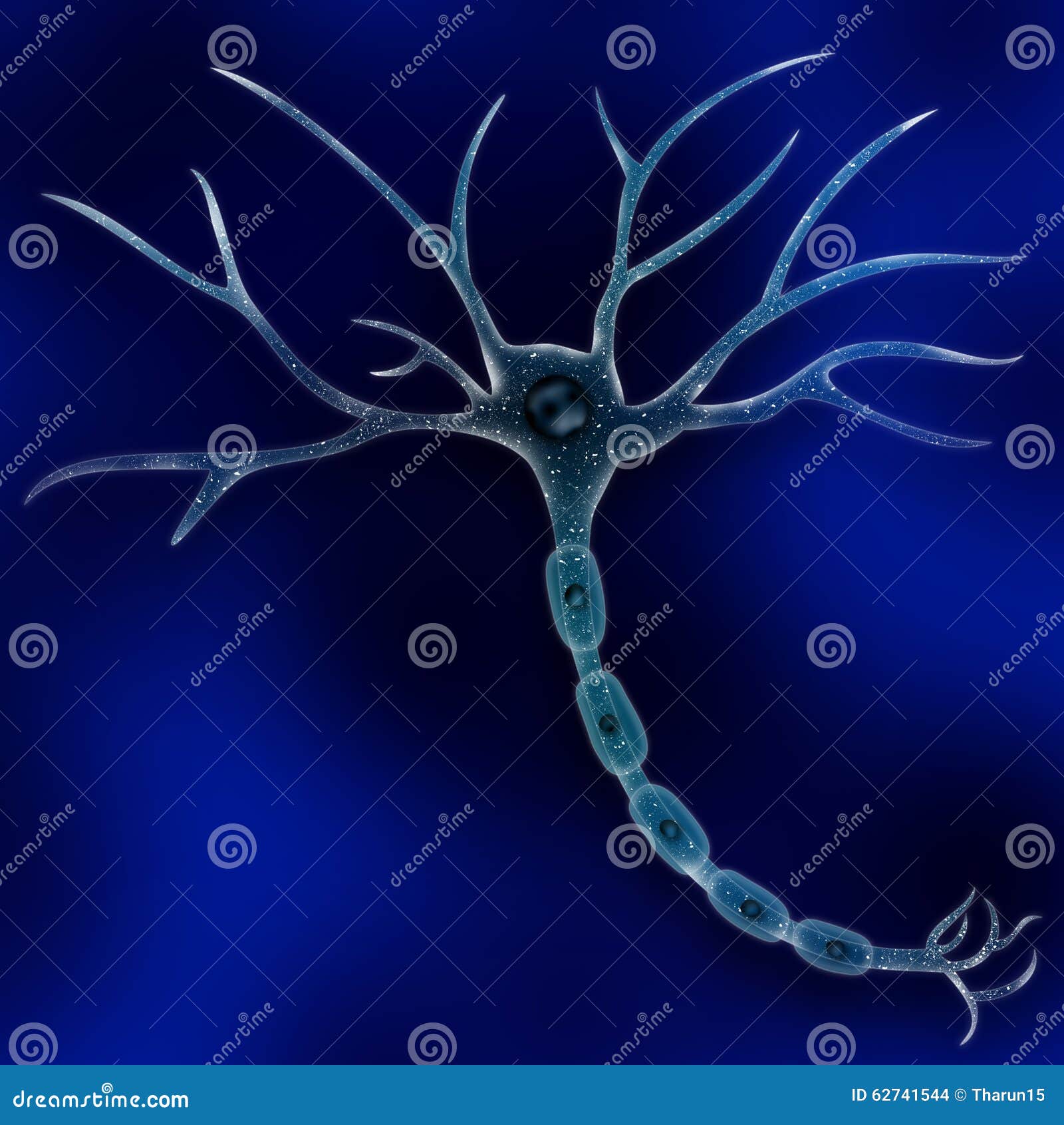 Neuron cell
