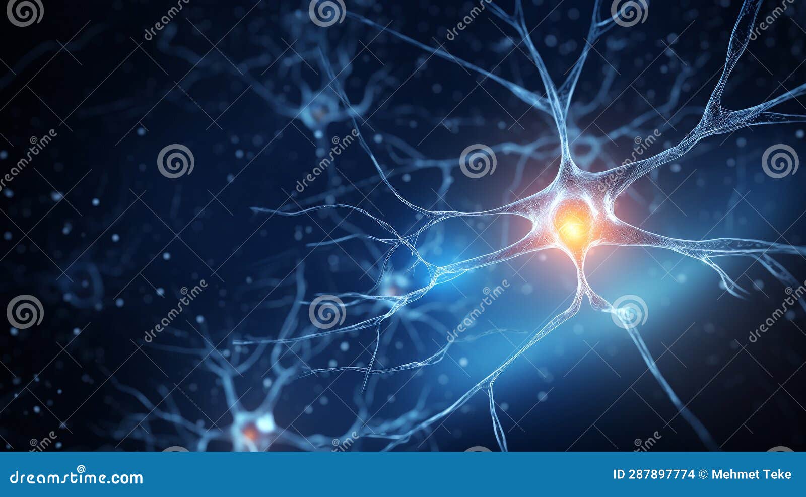 Neuron Cell and Neurons, Representing Networks and Connection Stock ...