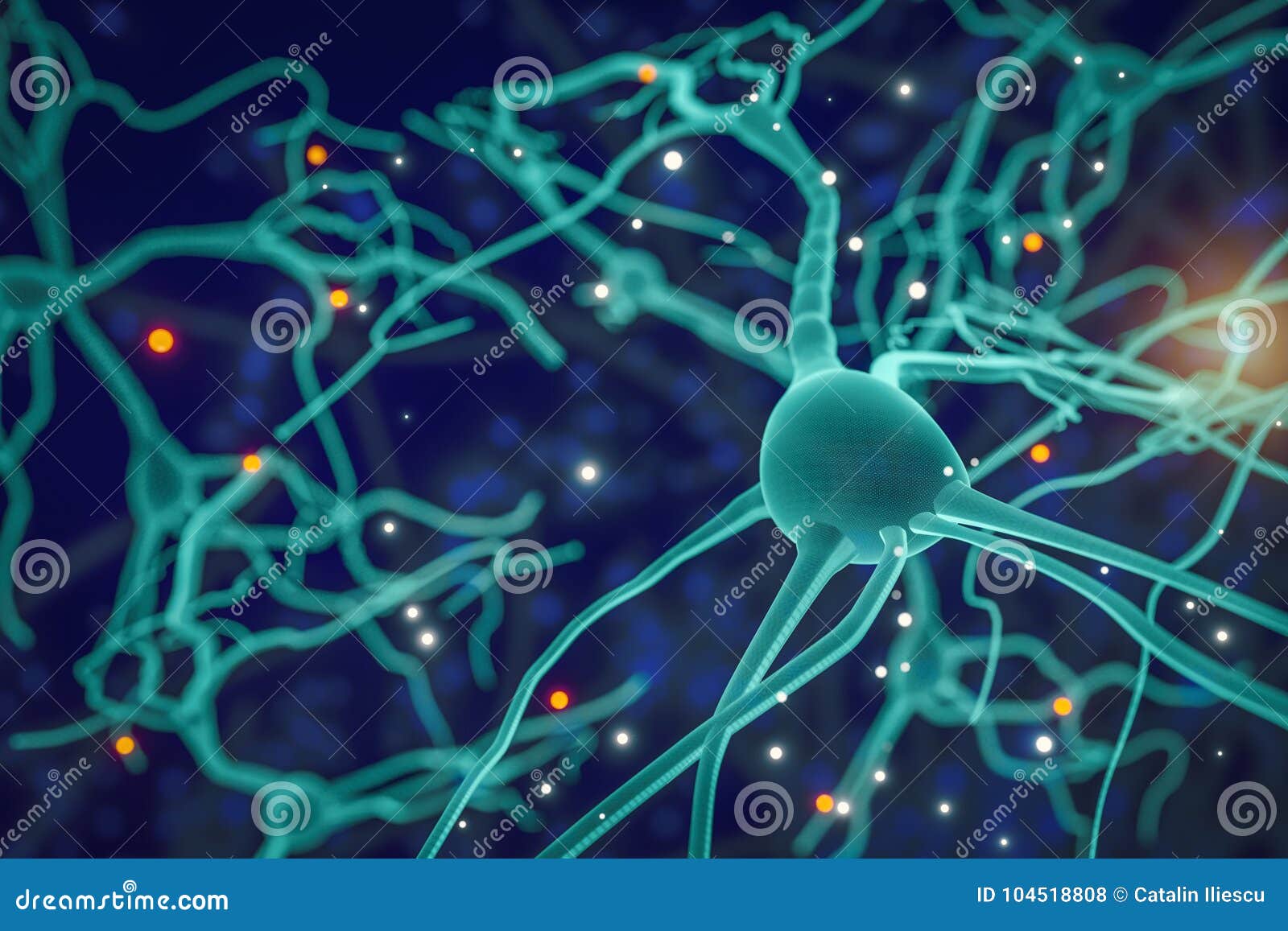 Neuron Cell, Neurons on White Background, Single Neuron Cell in Human ...