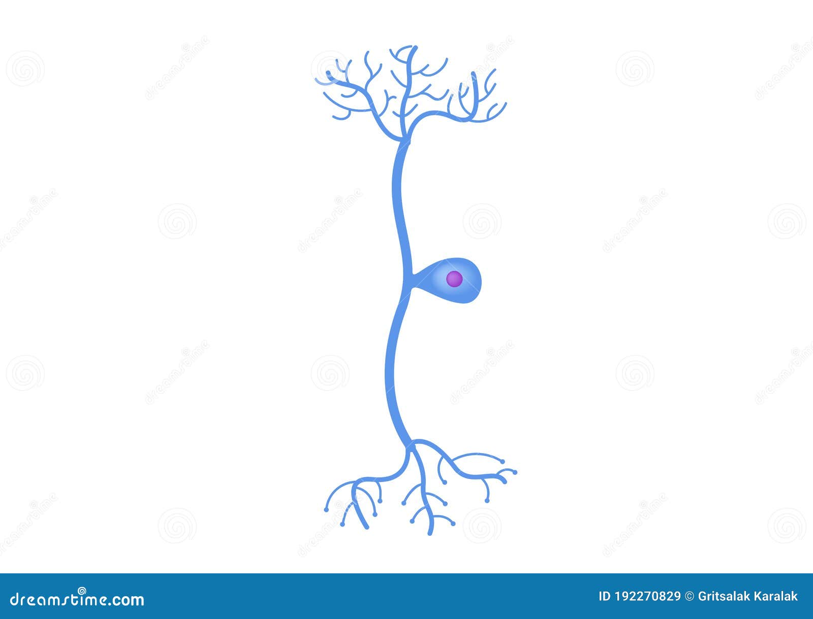 Neuron cell vector stock vector. Illustration of chart - 192270829