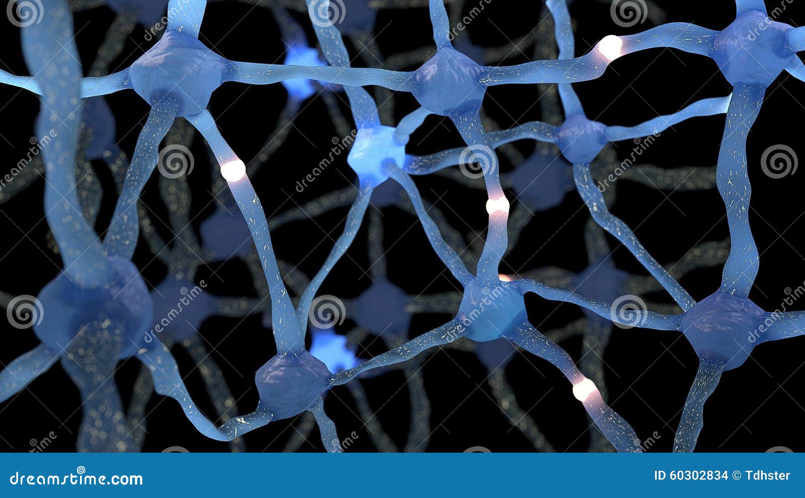 Neuron cells system net stock photo. Image of dendrite - 60302834