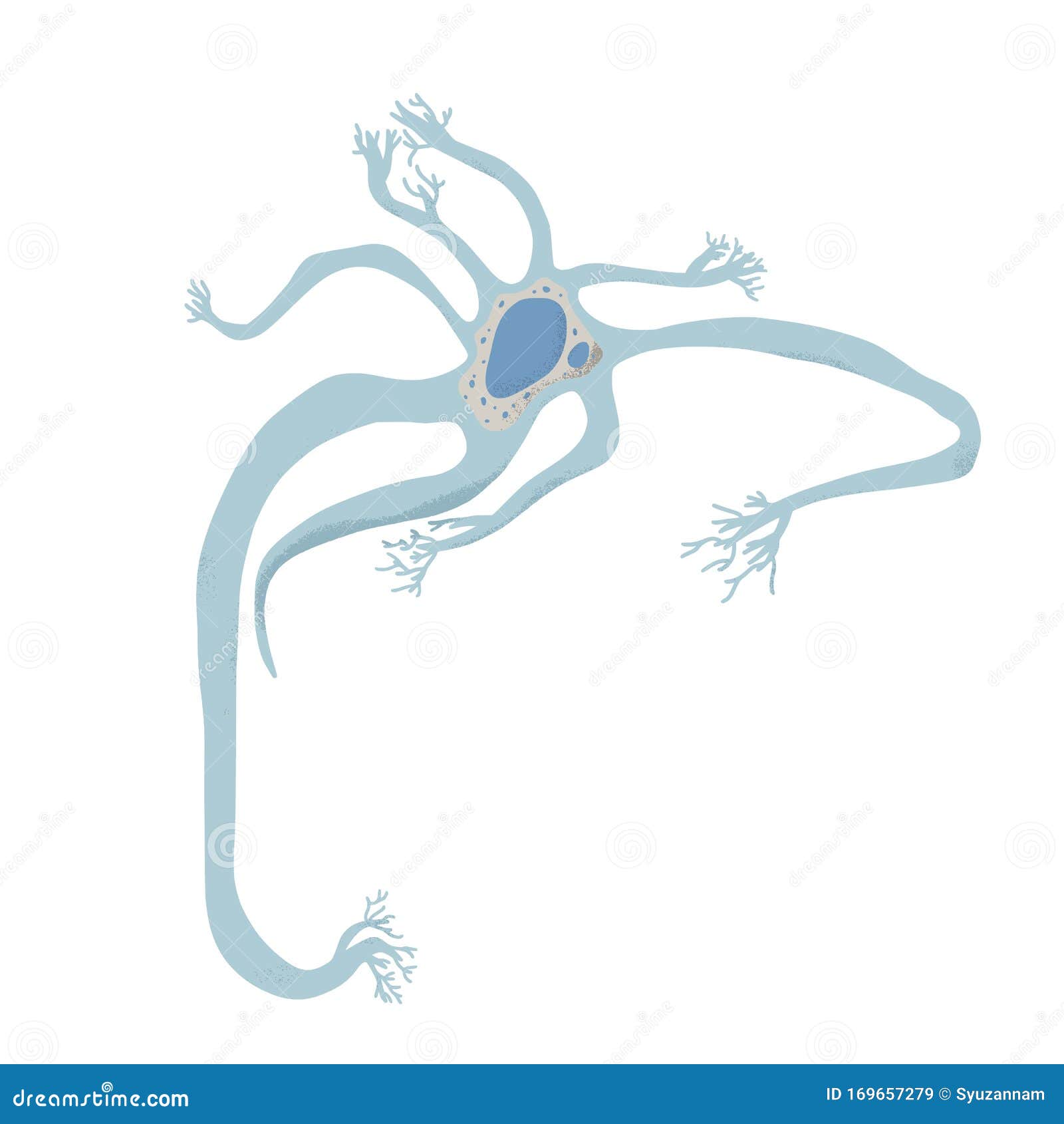 Neuron Cells. Vector Simple Design Illustartion Stock Vector ...