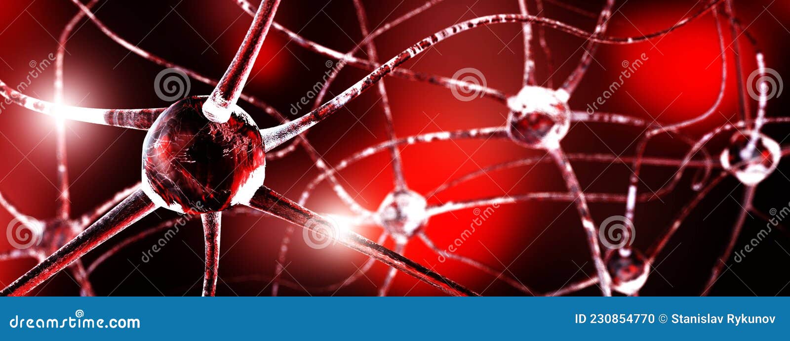 Close Up Of A Neuron, Close-Up Of Neuron Cells Royalty-Free Stock Image ...