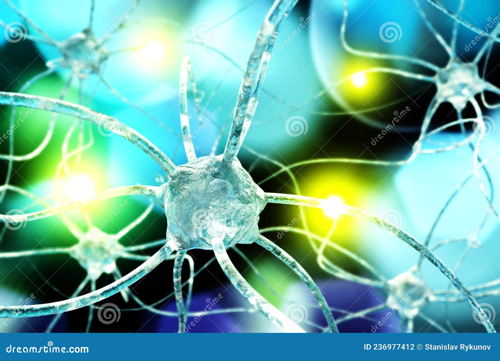 Close Up Of A Neuron, Close-Up Of Neuron Cells Royalty-Free Stock Image ...