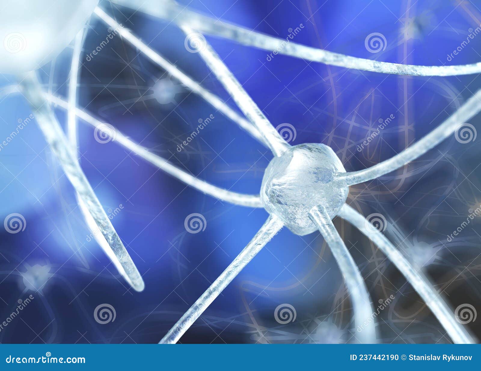 Close Up Of A Neuron, Close-Up Of Neuron Cells Royalty-Free Stock Image ...