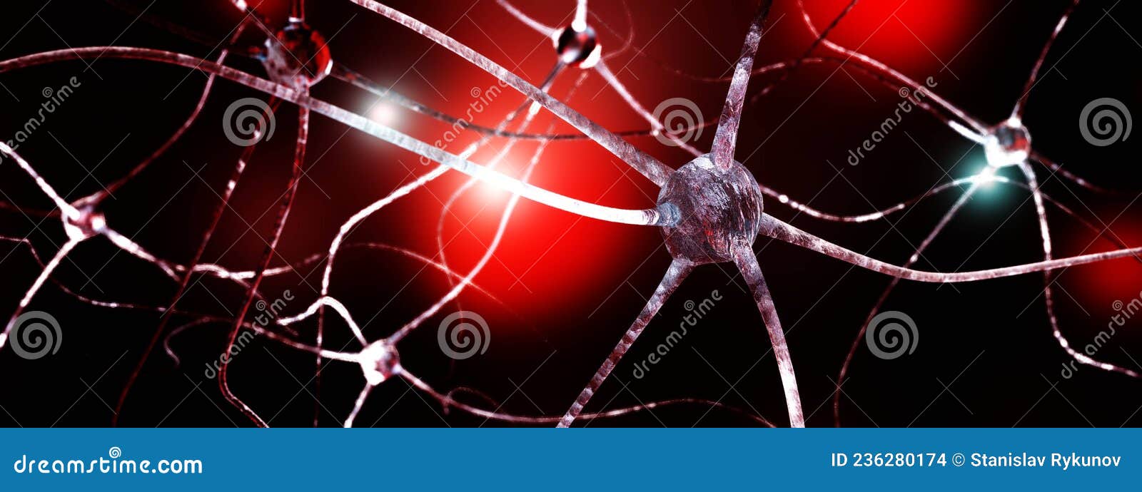 Close Up Of A Neuron, Close-Up Of Neuron Cells Royalty-Free Stock Image ...