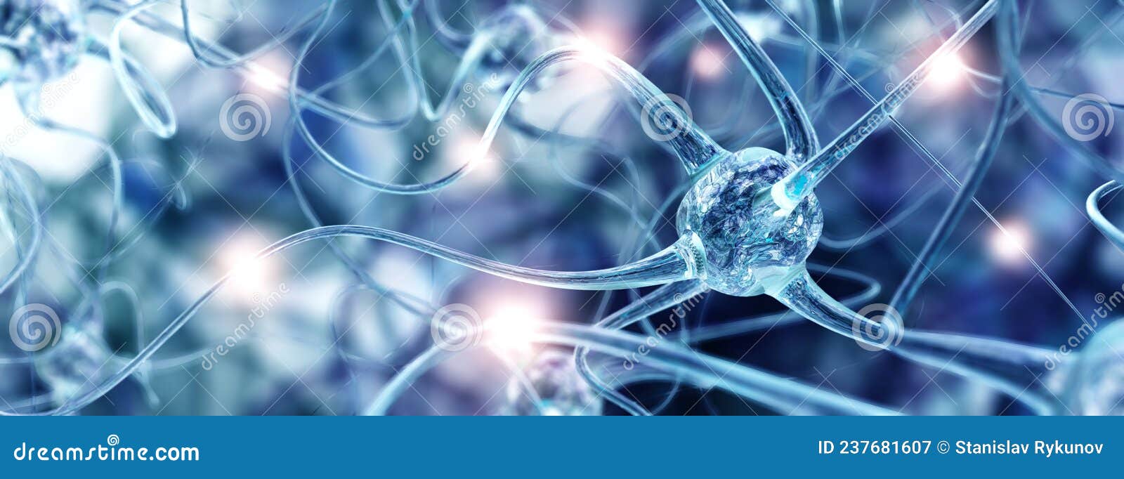 Close Up Of A Neuron, Close-Up Of Neuron Cells Royalty-Free Stock Image ...