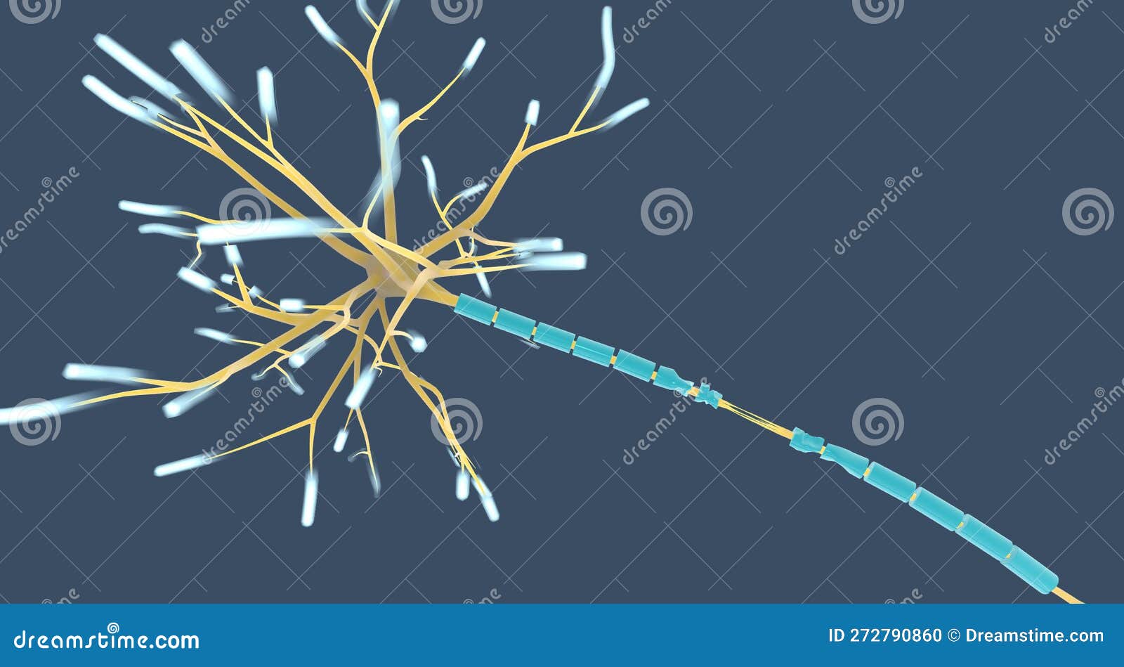 The Neuron Damage in Concussion Stock Illustration - Illustration of ...