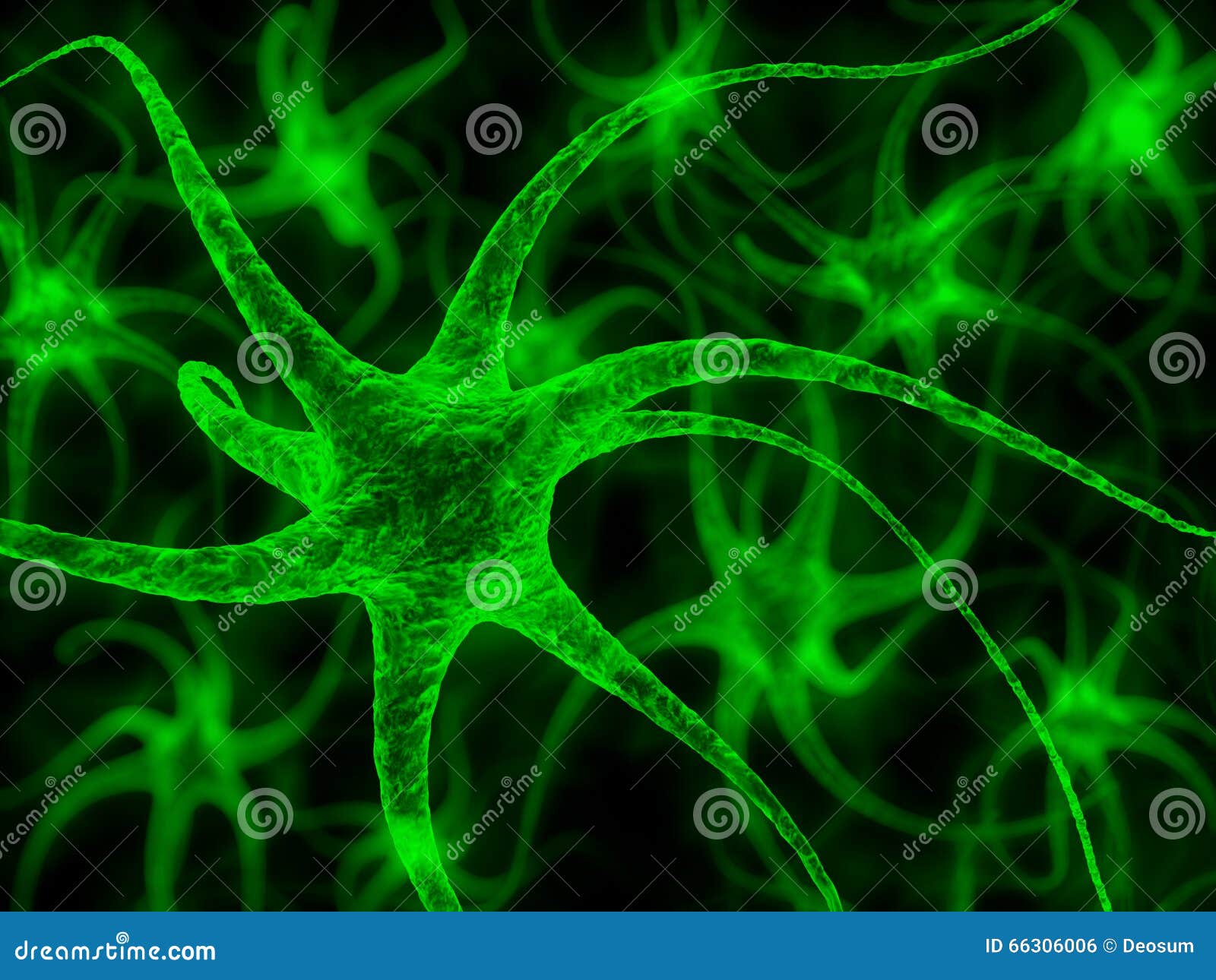 Neuron - De Illustratie Van De Zenuwcel Stock Illustratie ...