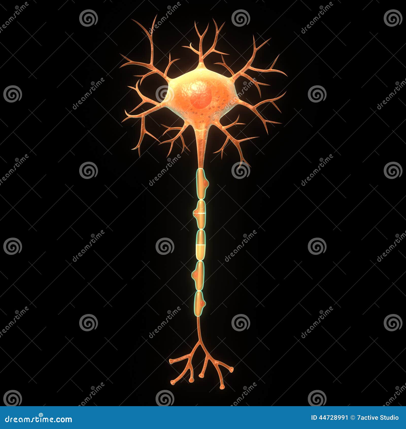 Neuron stock illustration. Illustration of disease, cells - 44728991