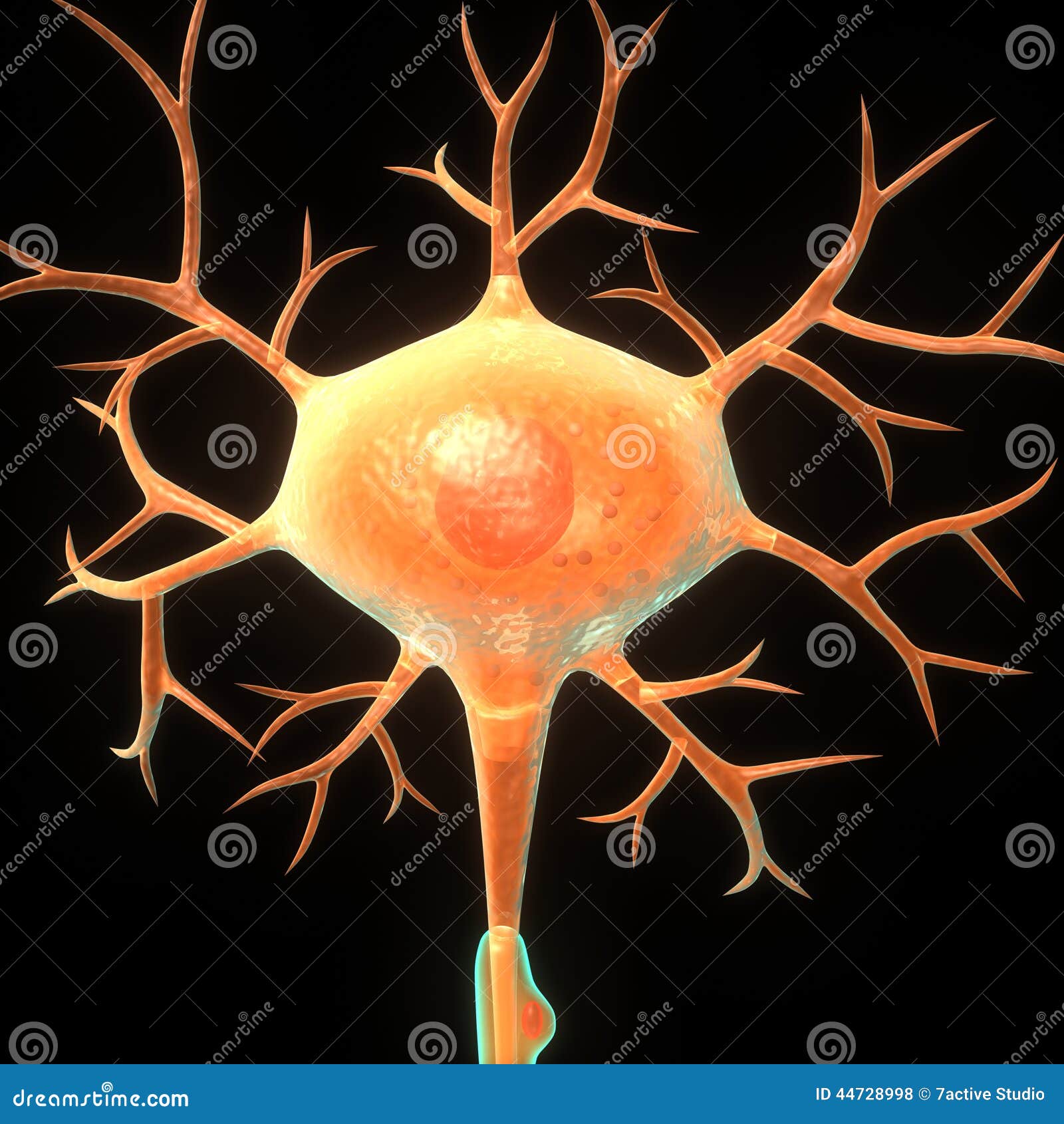 Neuron stock illustration. Illustration of network, microscopic - 44728998