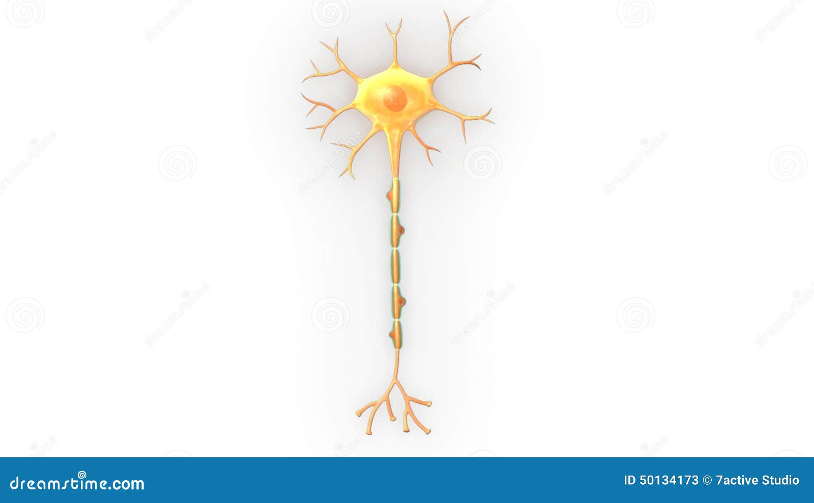 Excitable Cartoons, Illustrations & Vector Stock Images - 163 Pictures ...