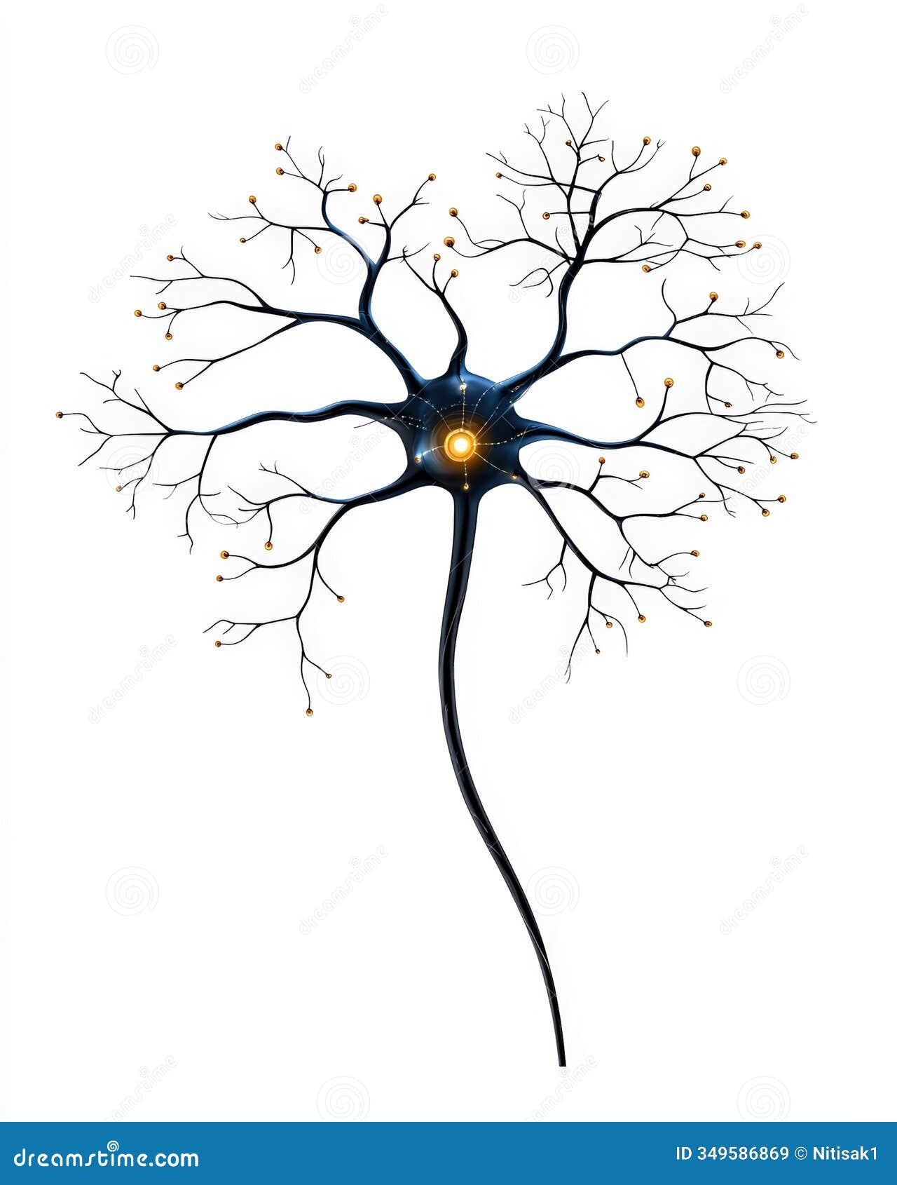 Neuron Illustration White Isolate Background Stock Illustration ...