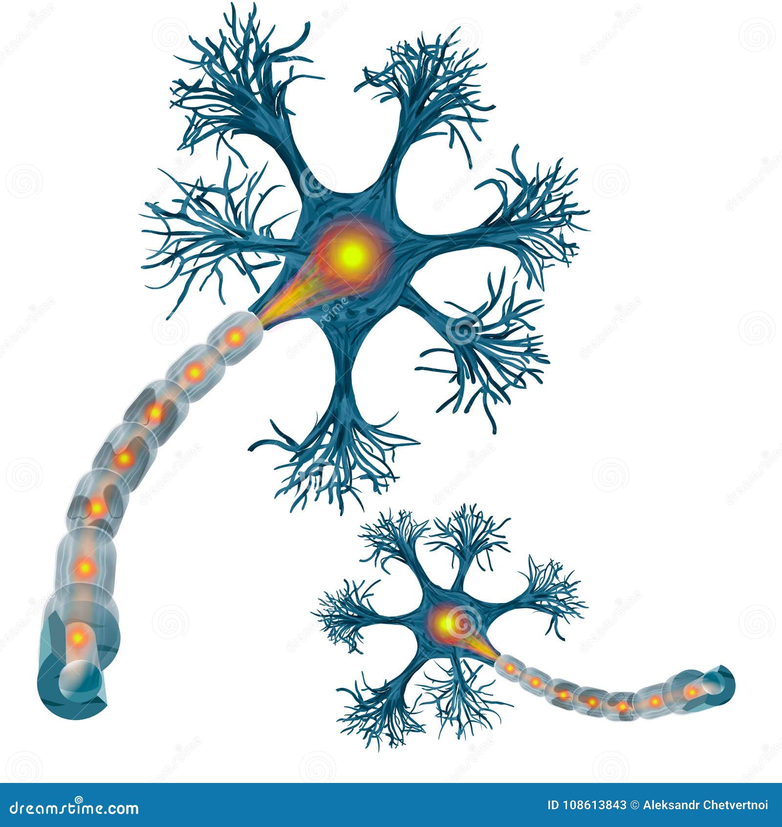 A Synapse, Part Of A Neuron Or Nerve Cell Royalty-Free Illustration ...