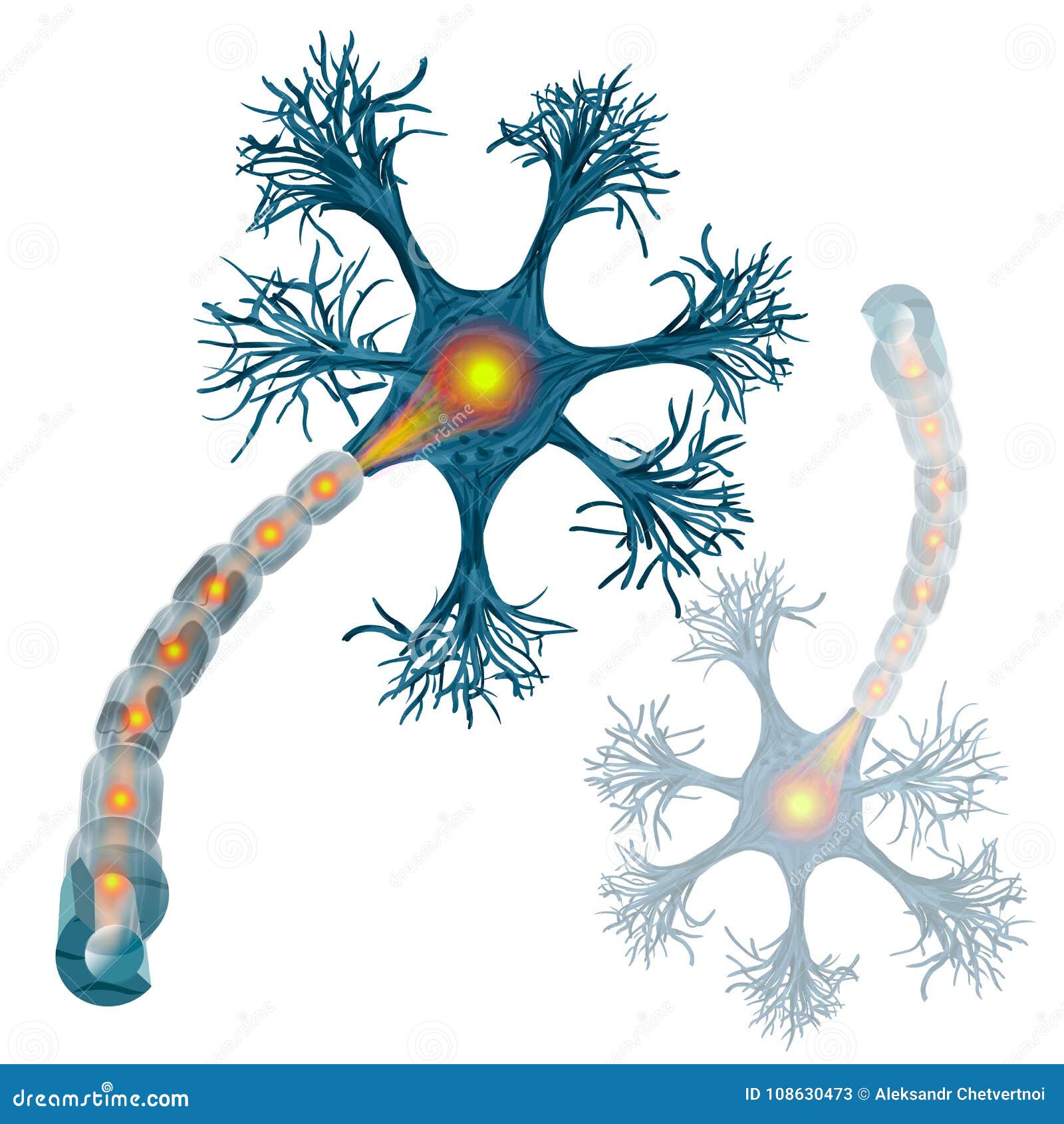 Neuron that is the Main Part of the Nervous System. Stock Vector ...