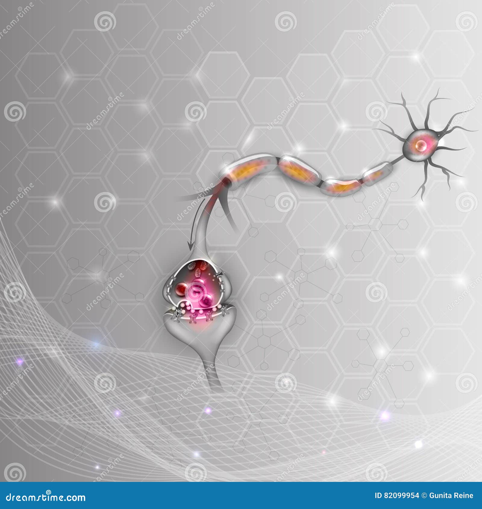 Neuron Passes Signal Vector Illustration | CartoonDealer.com #81925580