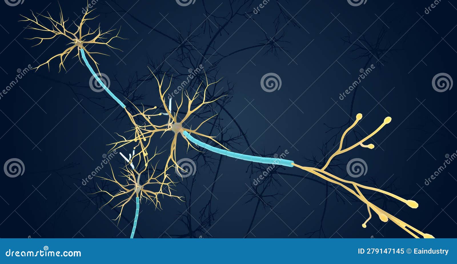 The Neuron (nerve Cell) is Responsible for Sending Electrochemic Stock ...