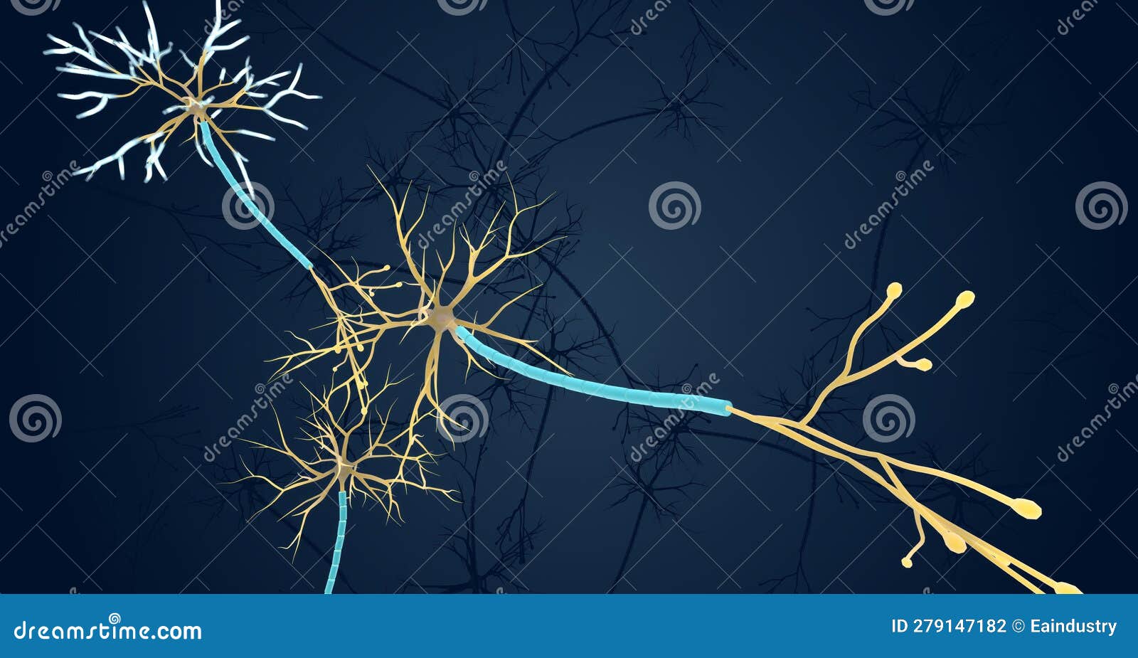 The Neuron (nerve Cell) is Responsible for Sending Electrochemic Stock ...