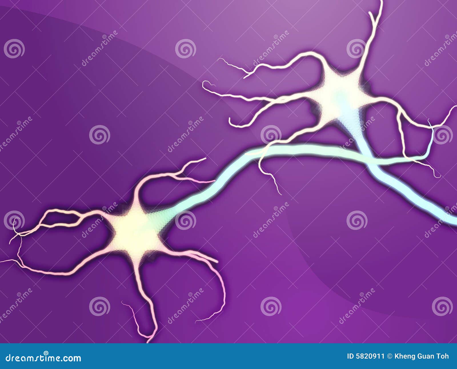Neuron Nerve Cells Stock Photo | CartoonDealer.com #6074604