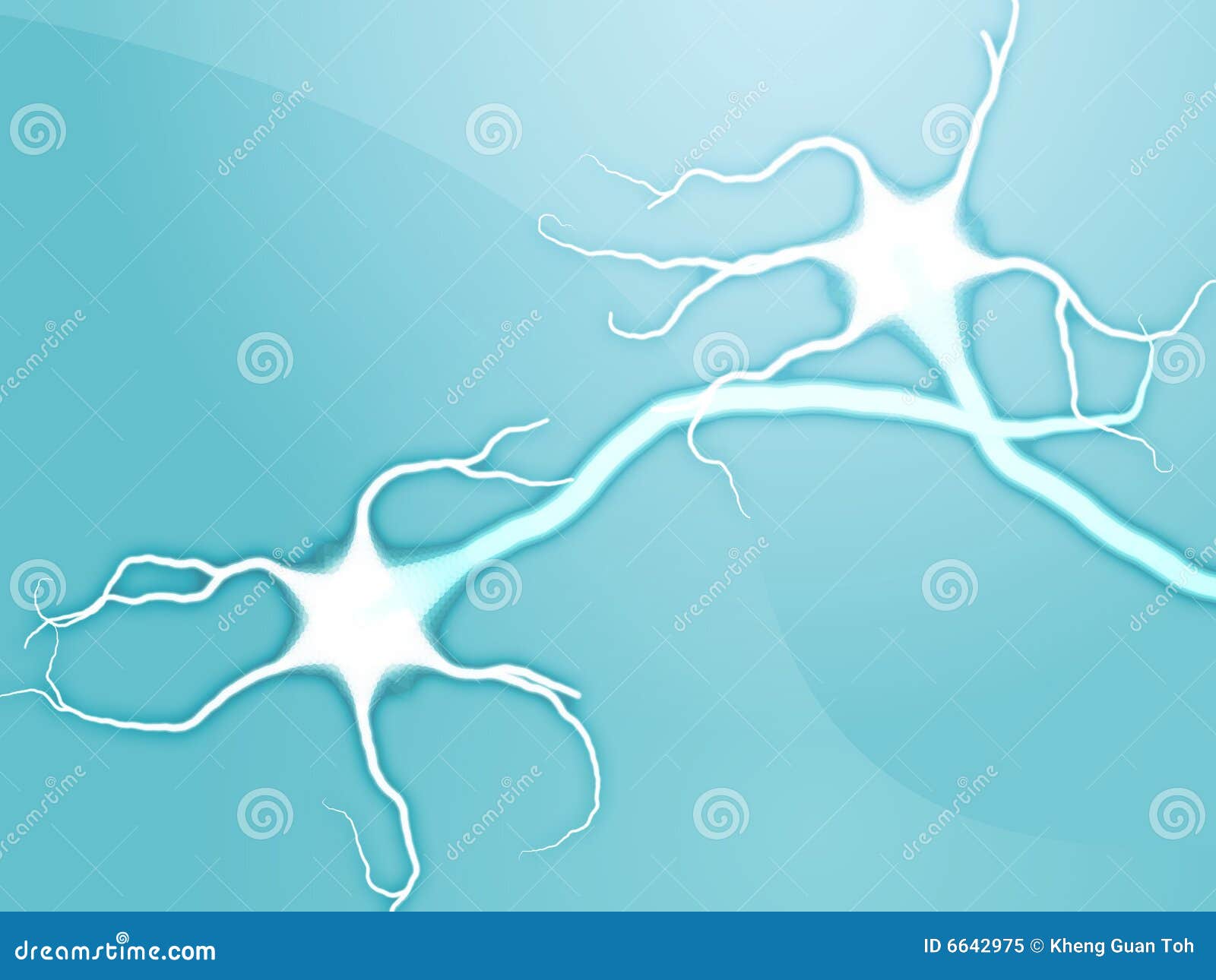 Neuron Nerve Cells Stock Photo | CartoonDealer.com #6074604