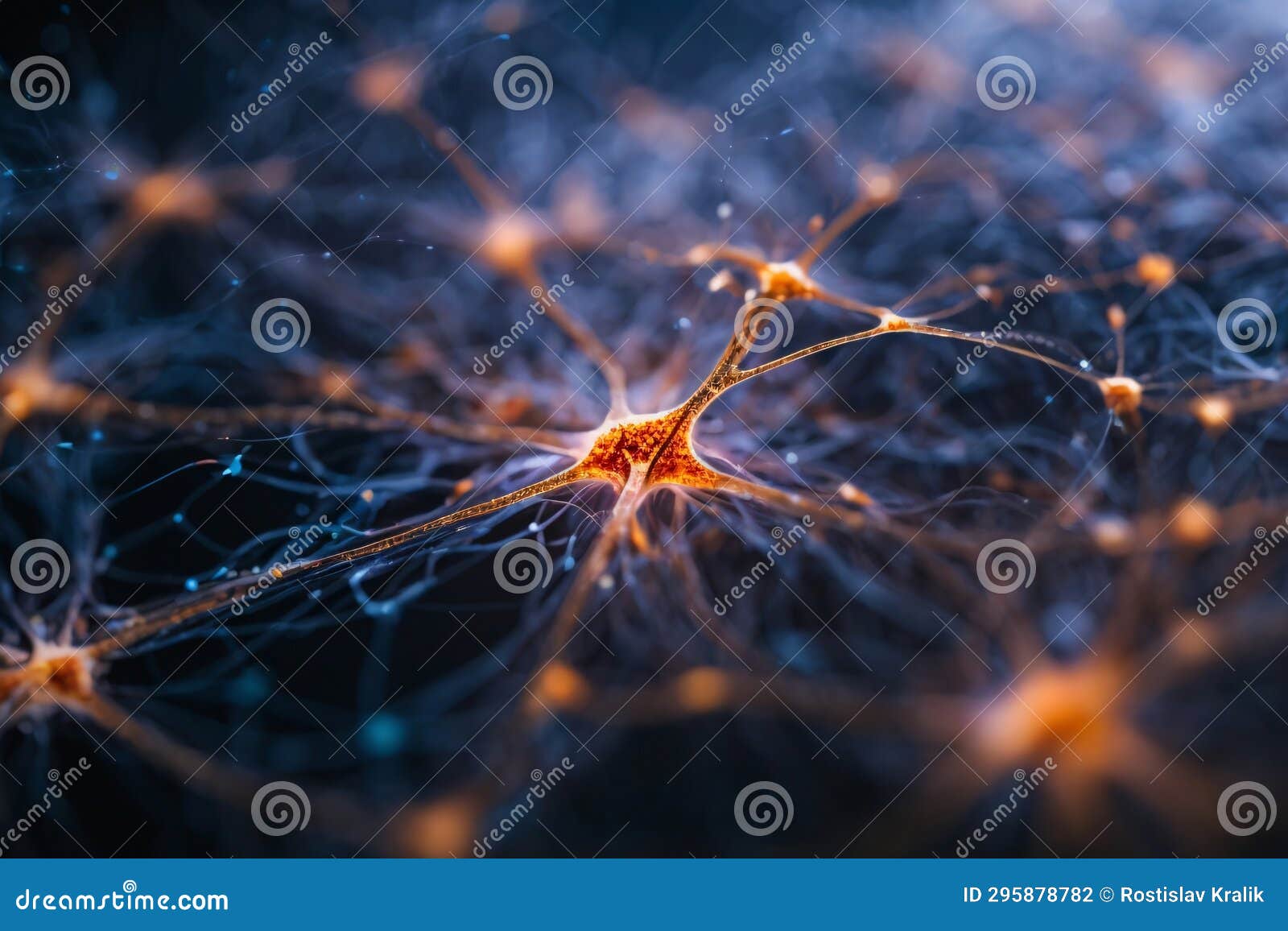 A Neuron Net Inside of Brain, Shimmering with a Vibrant Rainbow of ...