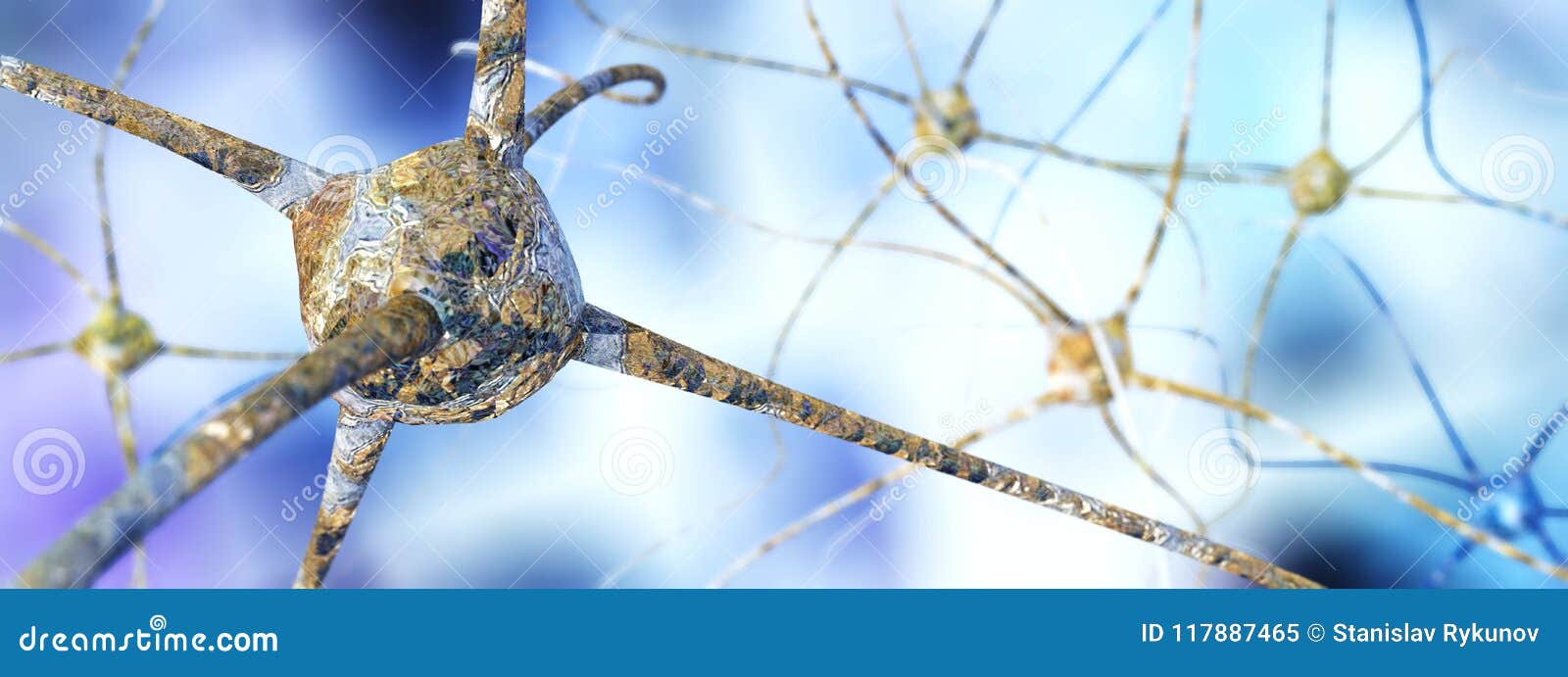 Neuron, Neural Network, Nerve Node, Royalty-Free Stock Photo ...