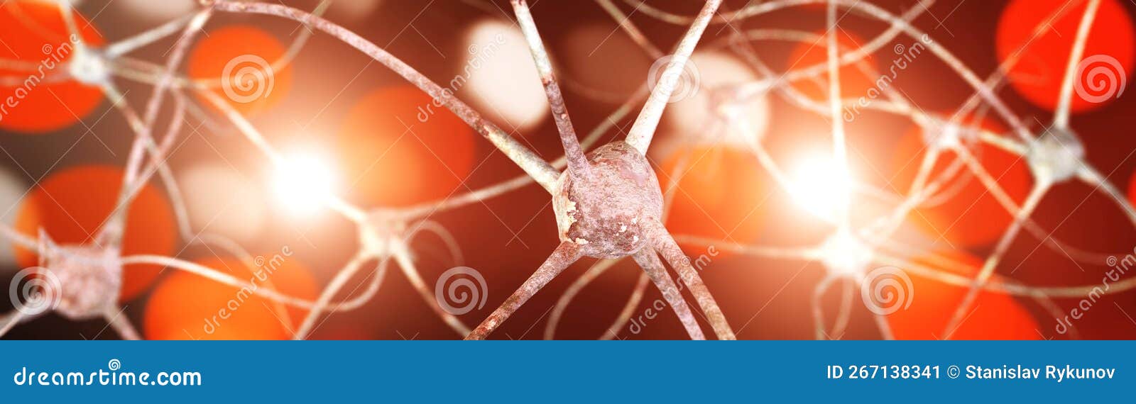 Neuron, Neural Network, Nerve Node, Nervous System, 3D Rendering Stock ...