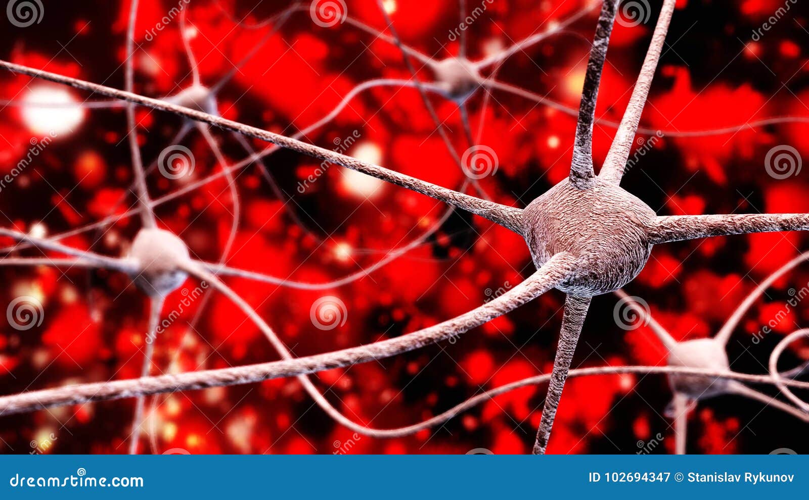 Neuron, Neural Network, Nerve Node, Stock Illustration - Illustration ...