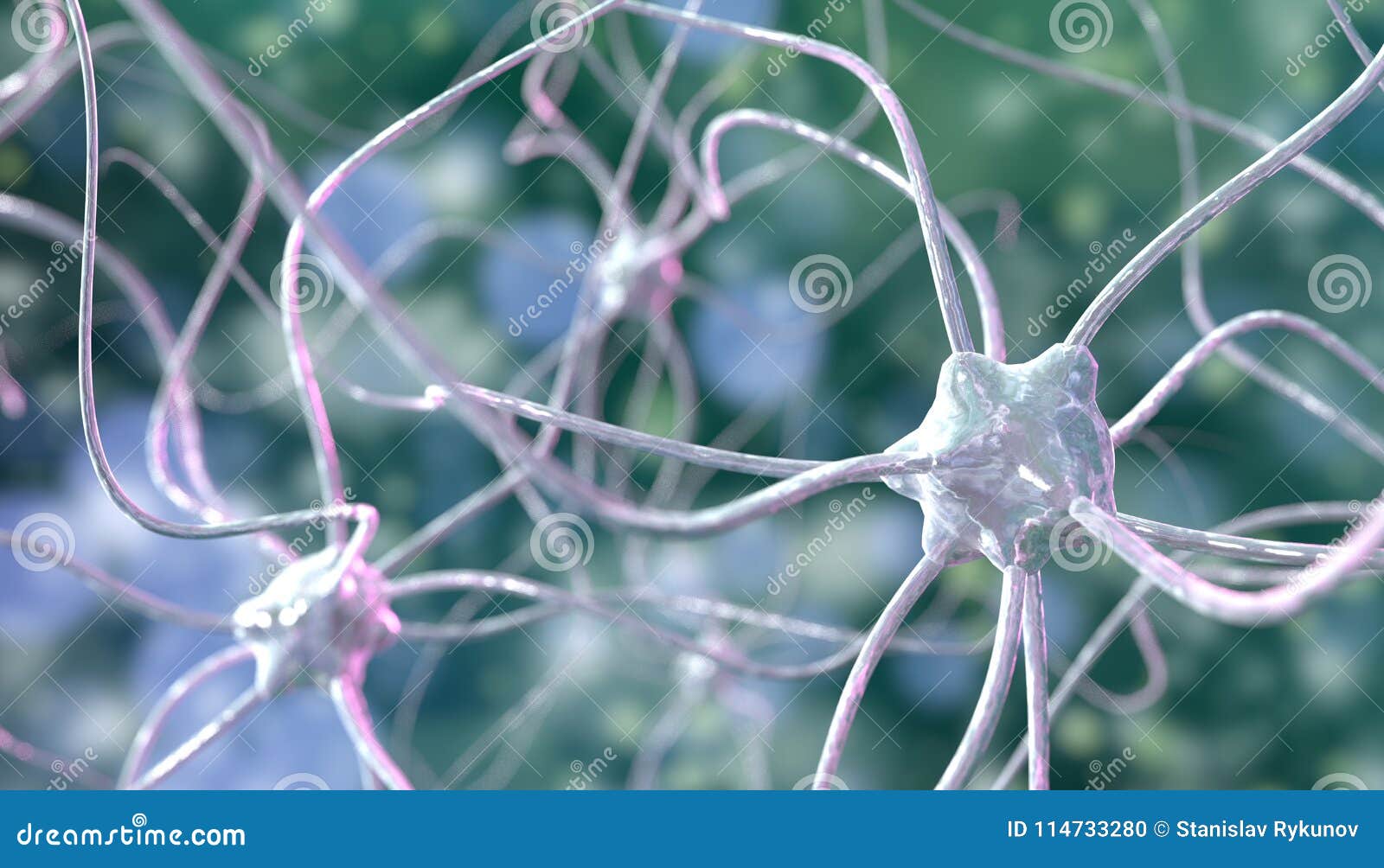 Neuron, Neural Network, Nerve Node, Royalty-Free Stock Photography ...