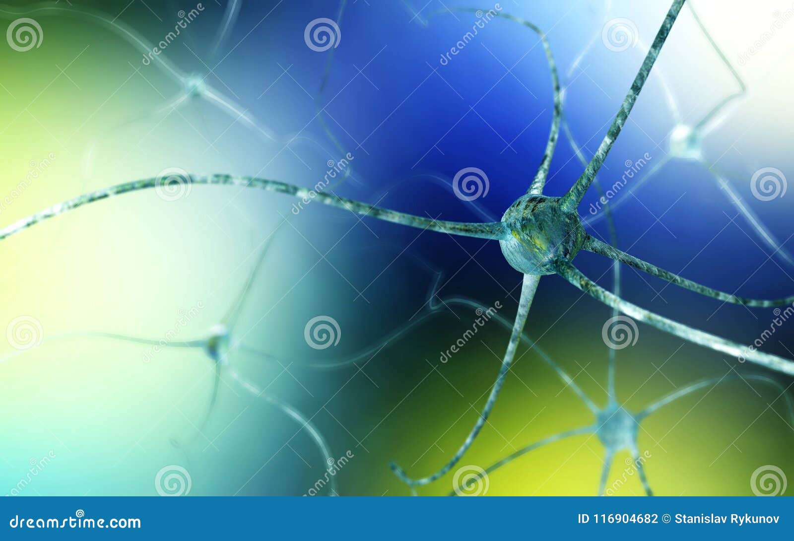 Neuron, Neural Network, Nerve Node, Royalty-Free Stock Image ...