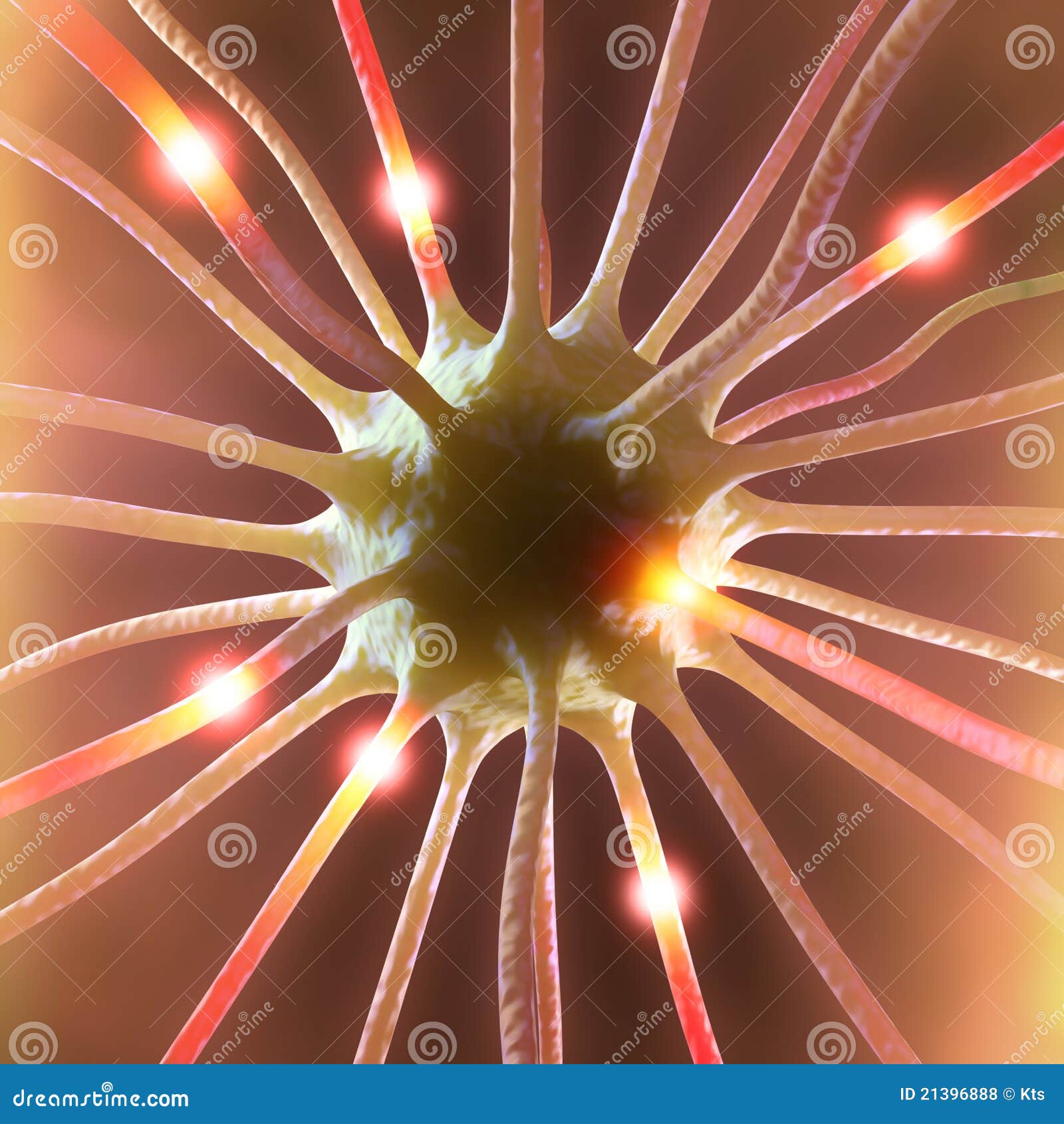 Neuron Pulse stock illustration. Illustration of cognition - 21396888