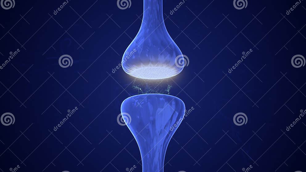 Neuron Receptor and Synapse Activity Medical Concept Stock Photo ...