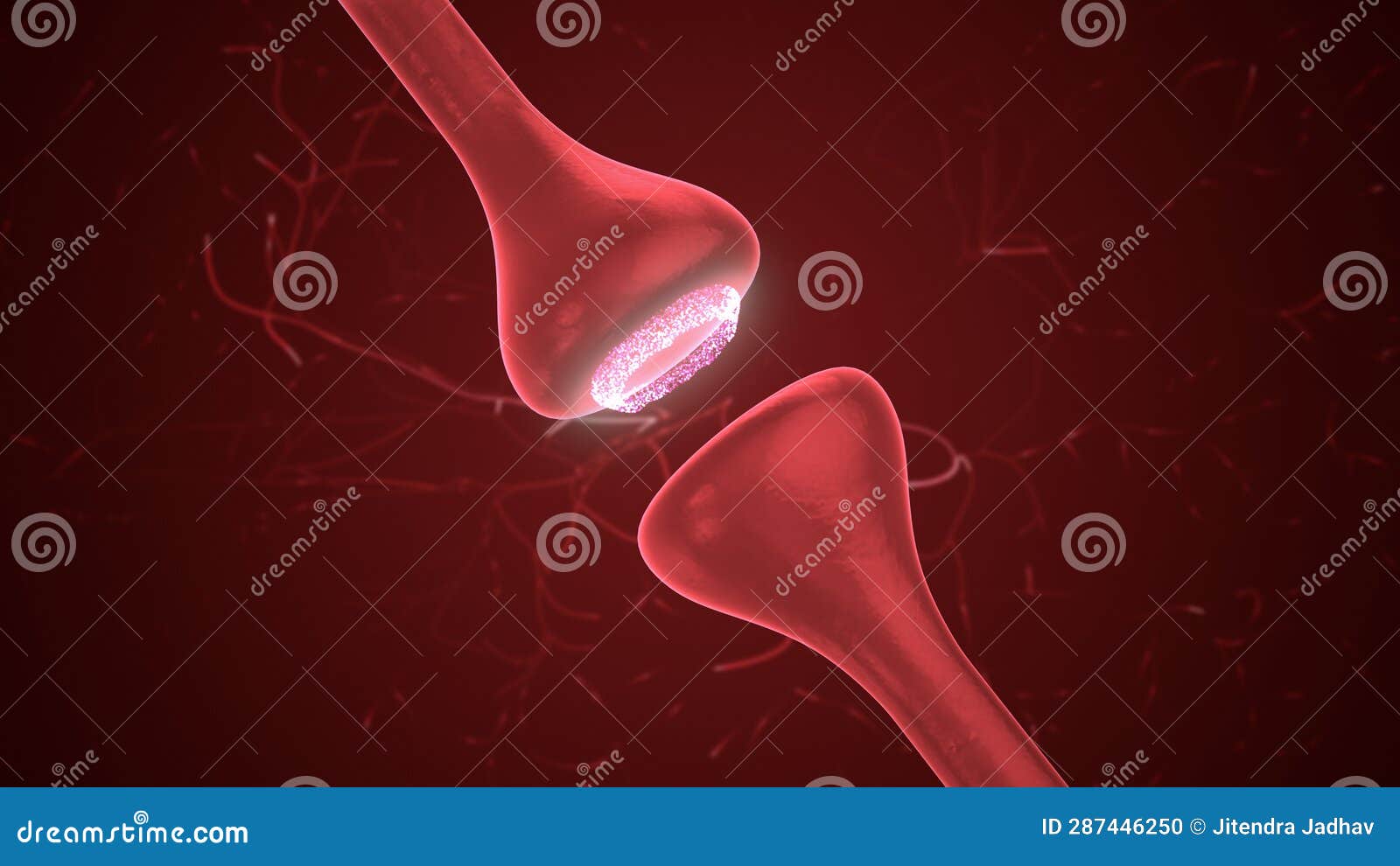 Neuron Receptor and Synapse Activity Stock Illustration - Illustration ...