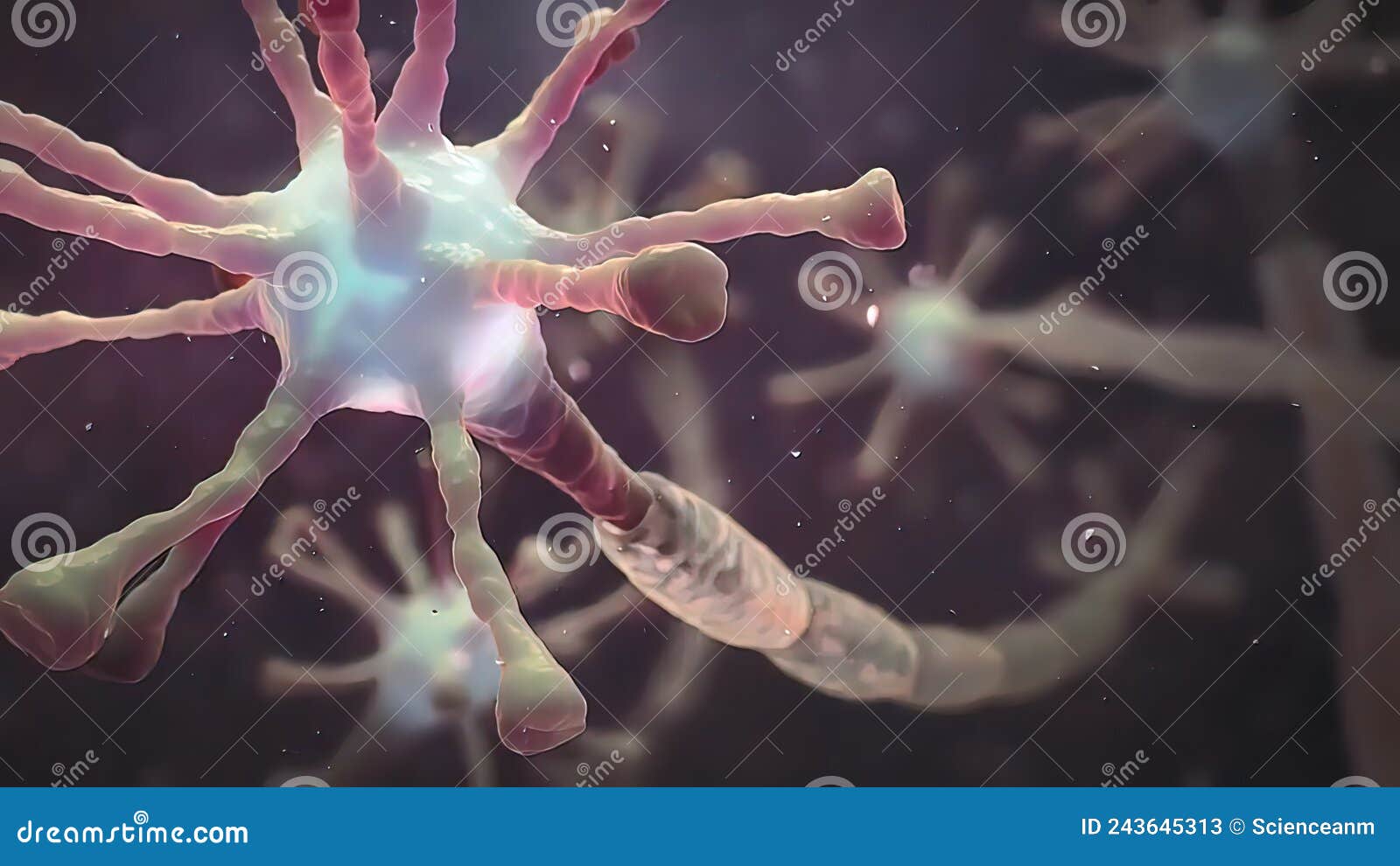 Neuron Research Exploding Degenerating Neuron Nervous System Research ...