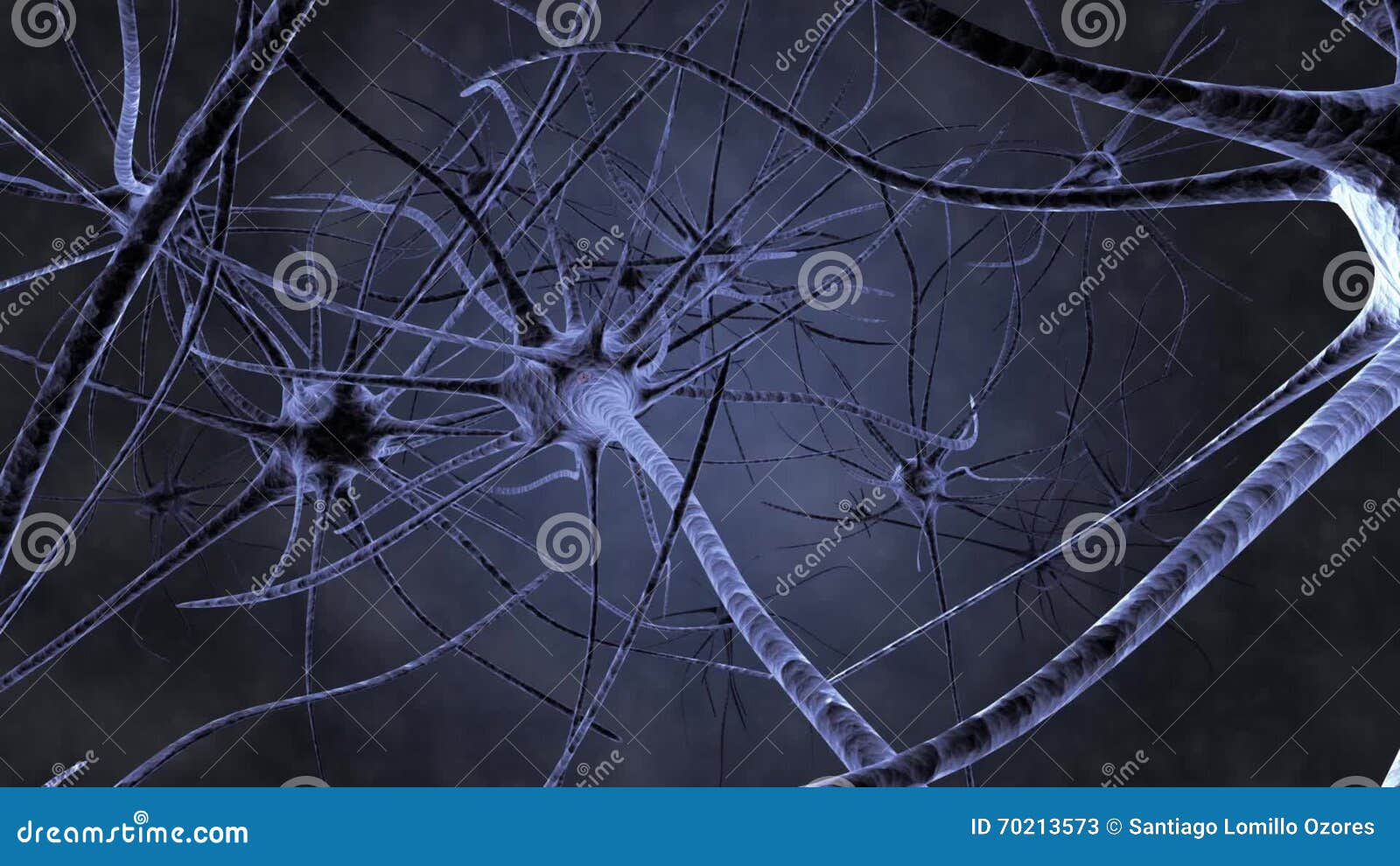 Neuron Running Nerve Impulse Stock Video - Video of impulse, background ...