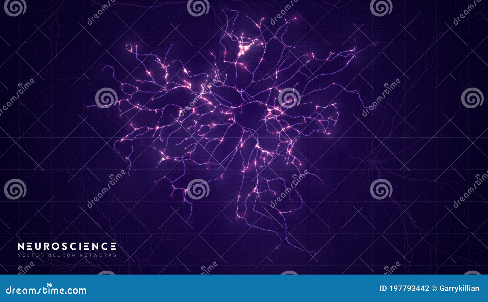 Neuron System Complex Model. Neural Net Structure. Research of the ...