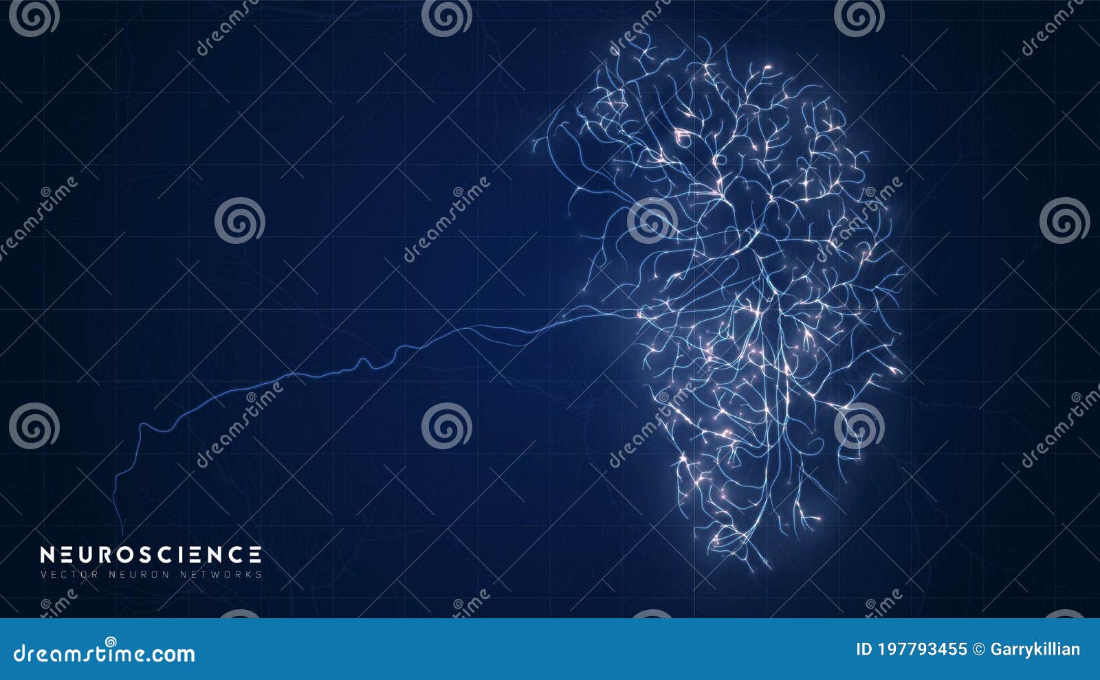 Neuron System Complex Model. Neural Net Structure. Research of the ...