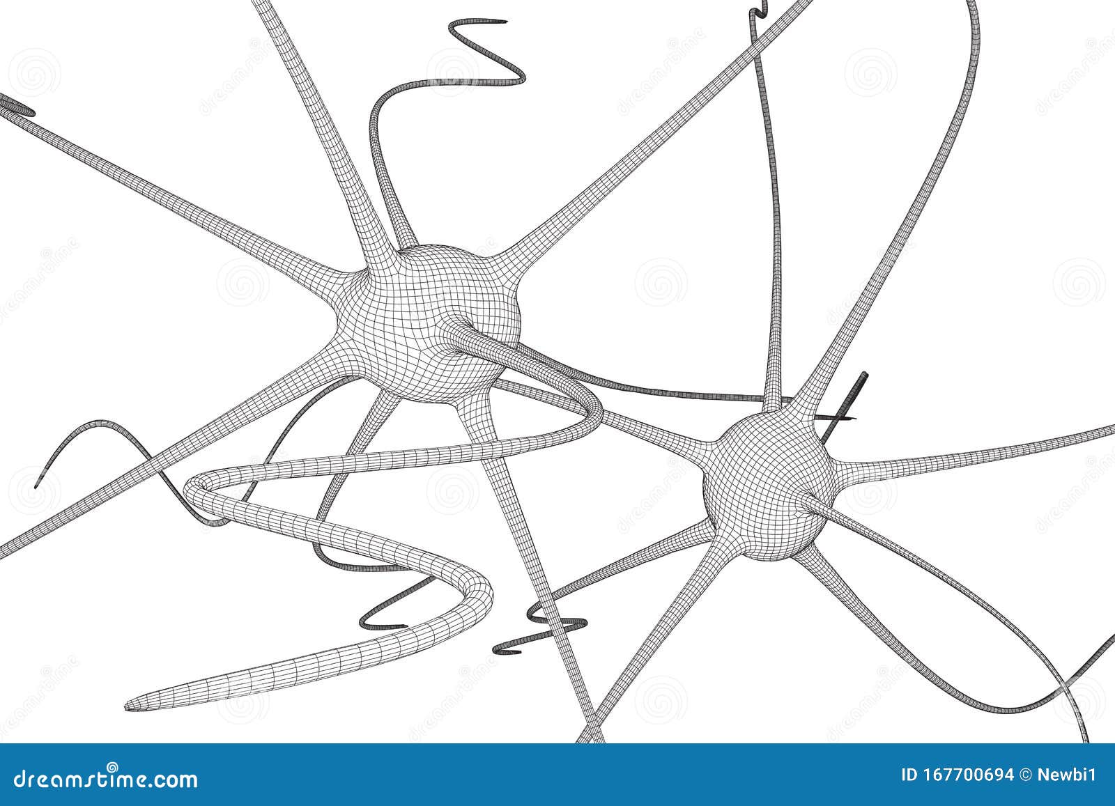 Neuron System Wireframe Mesh Model. Stock Vector - Illustration of ...
