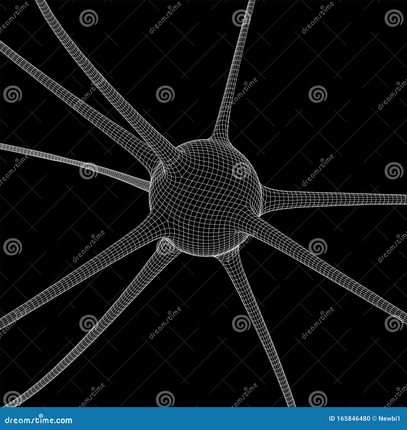 Neuron System Wireframe Mesh Model. Stock Vector - Illustration of poly ...