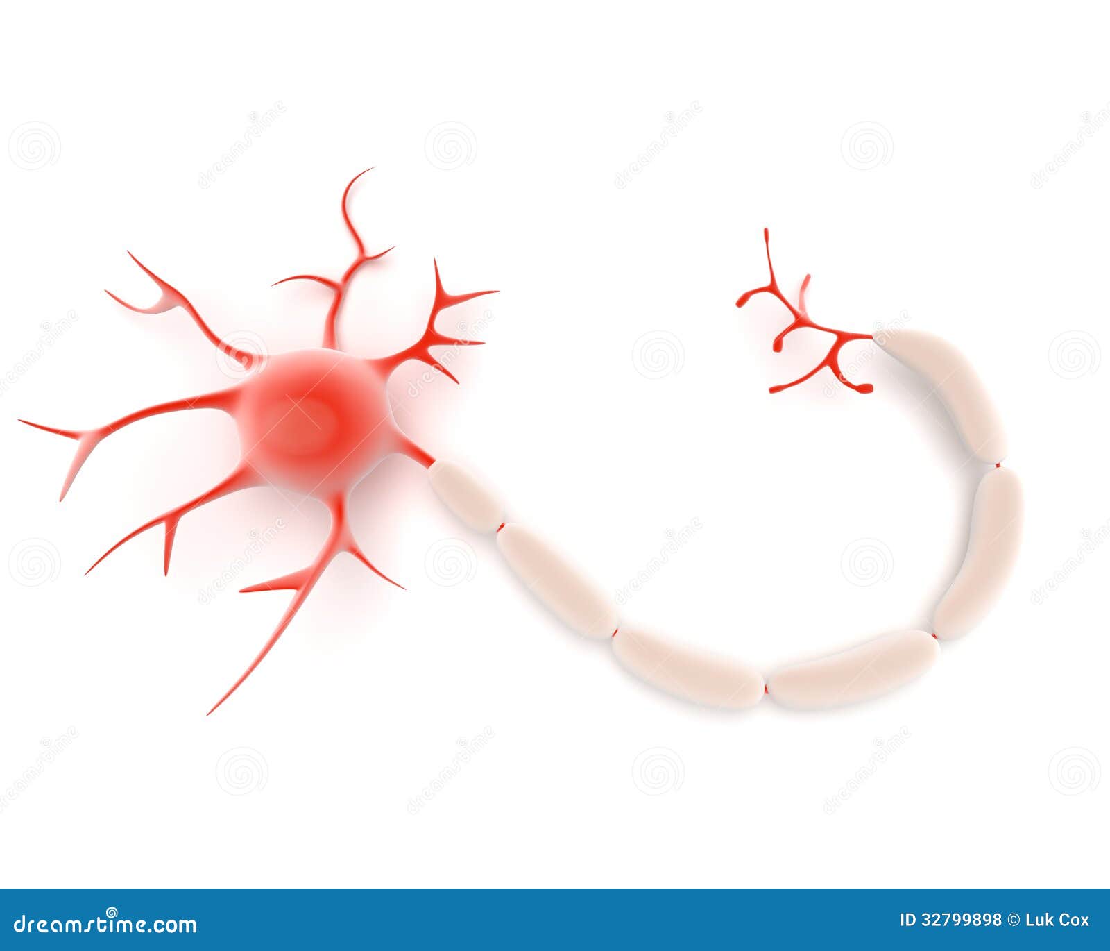 Neuron of zenuwcel stock illustratie. Afbeelding bestaande uit knopen ...