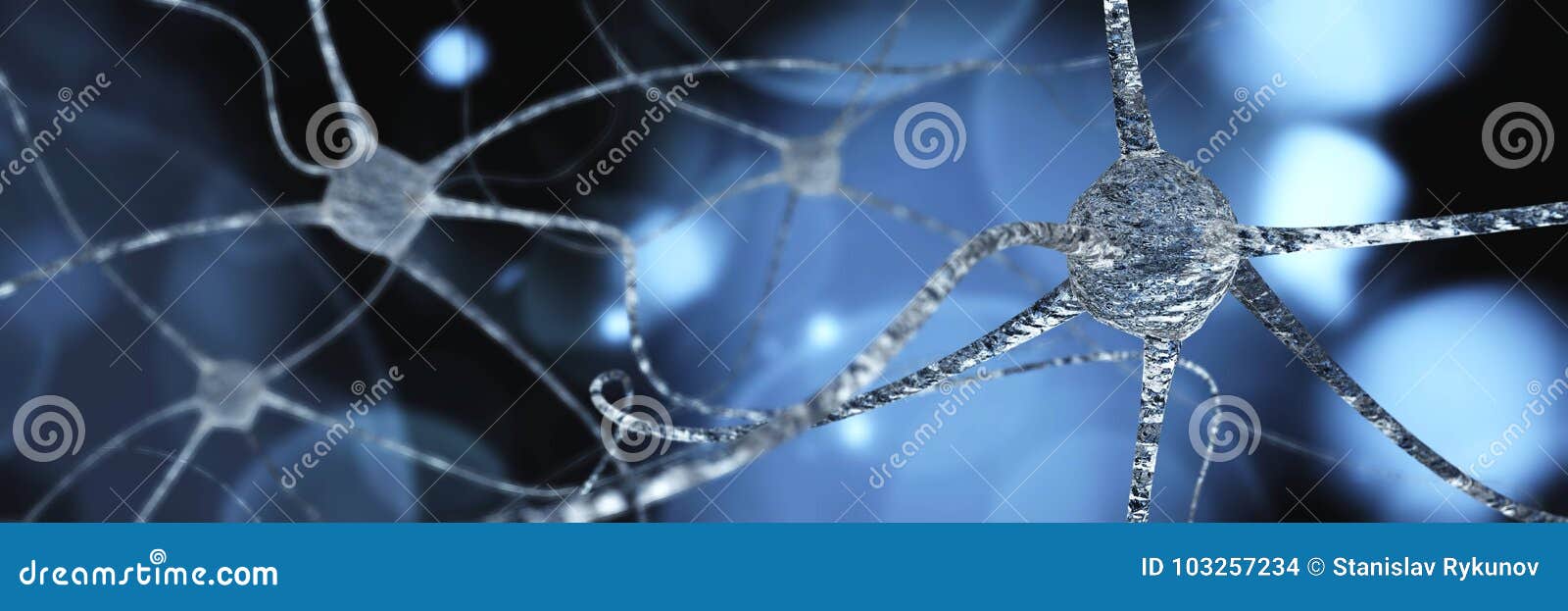 Neurona, Red Neuronal, Nodo Del Nervio, Stock de ilustración ...